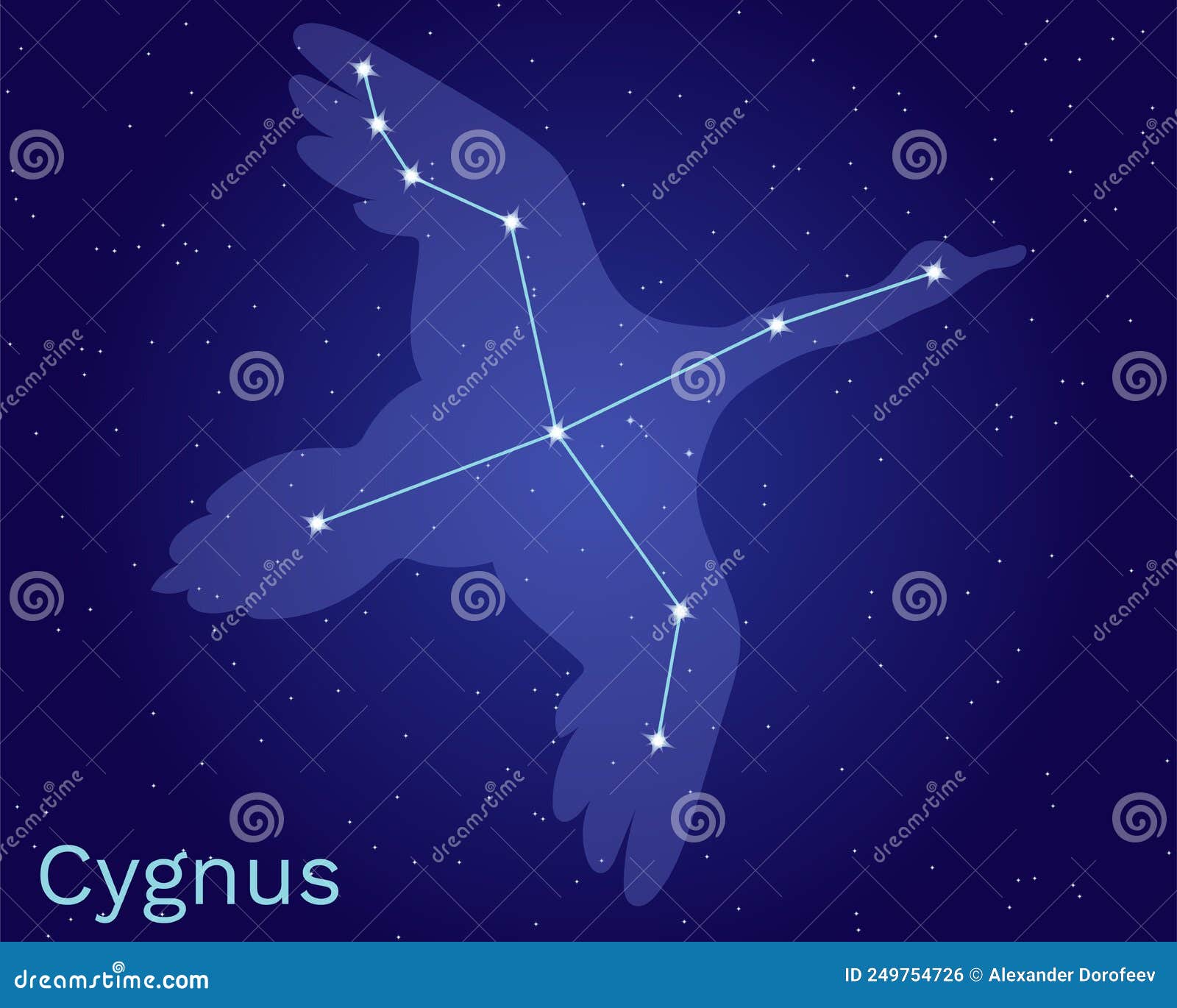 Cygnus Swan Constellation Vector Sign with Animal Silhouette Stock ...