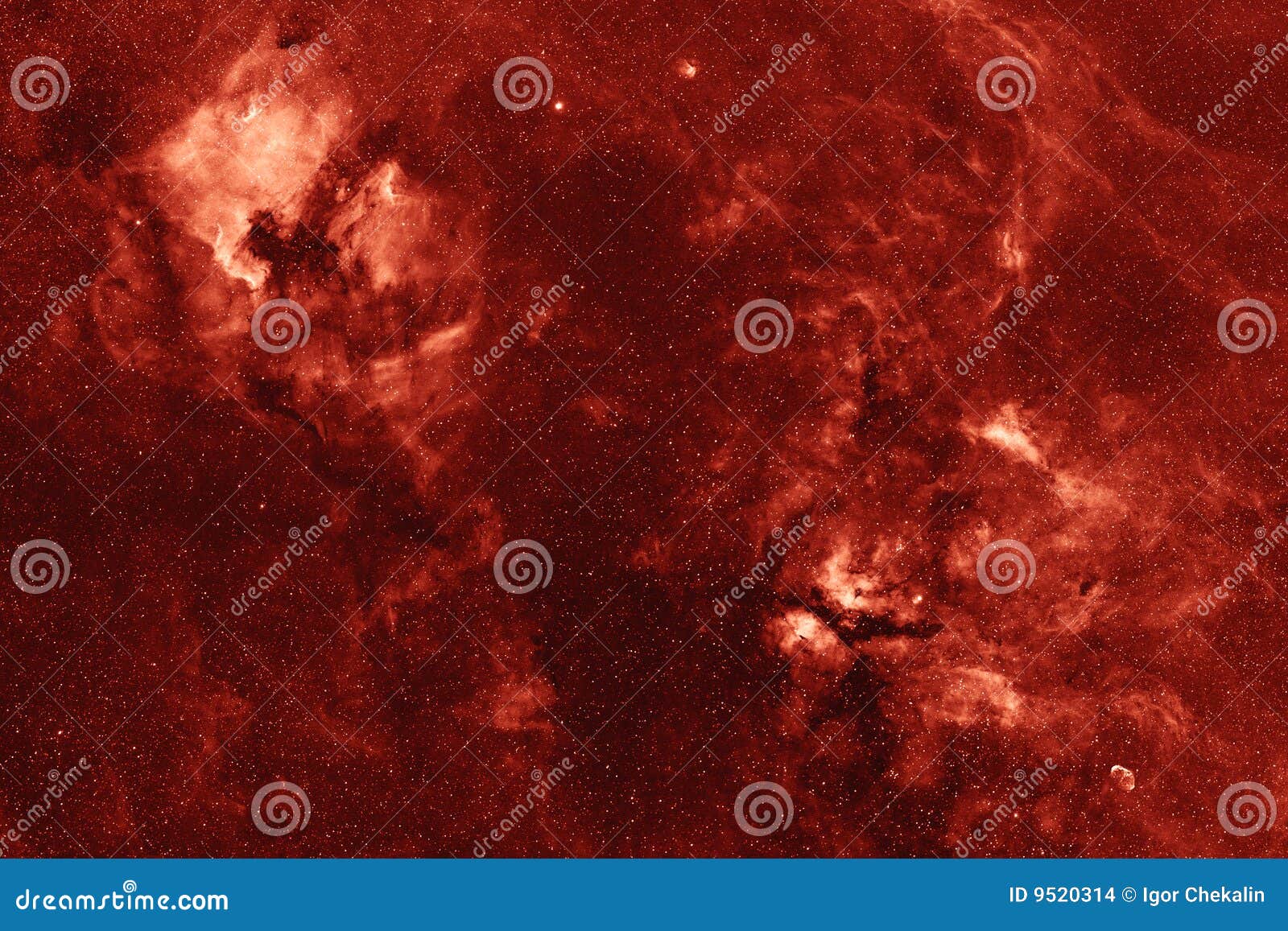 Cygnus Constellation Hydrogen Nebular Clouds Stock Photo - Image of ...