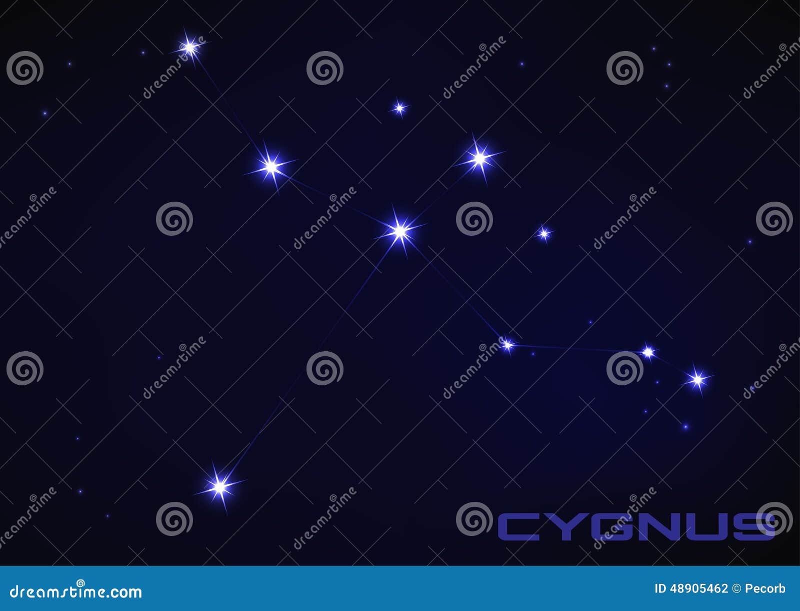 Cygnus Constellation Cartoon Vector | CartoonDealer.com #112222569
