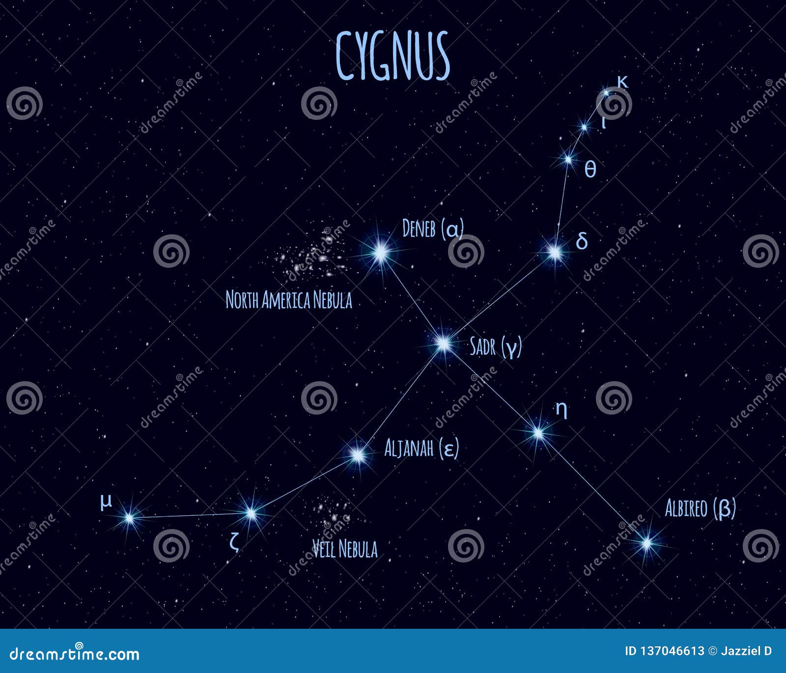 Cygnus Constellation, Vector Illustration with the Names of Basic Stars ...