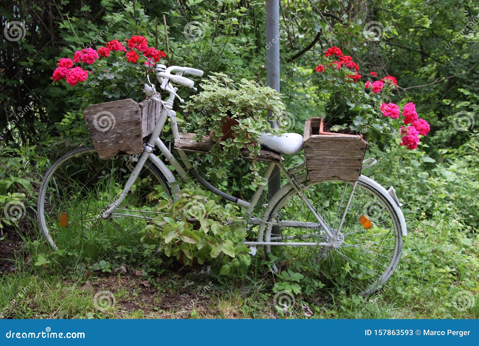 Cykel med blommor fotografering för bildbyråer. Bild av blomma - 157863593