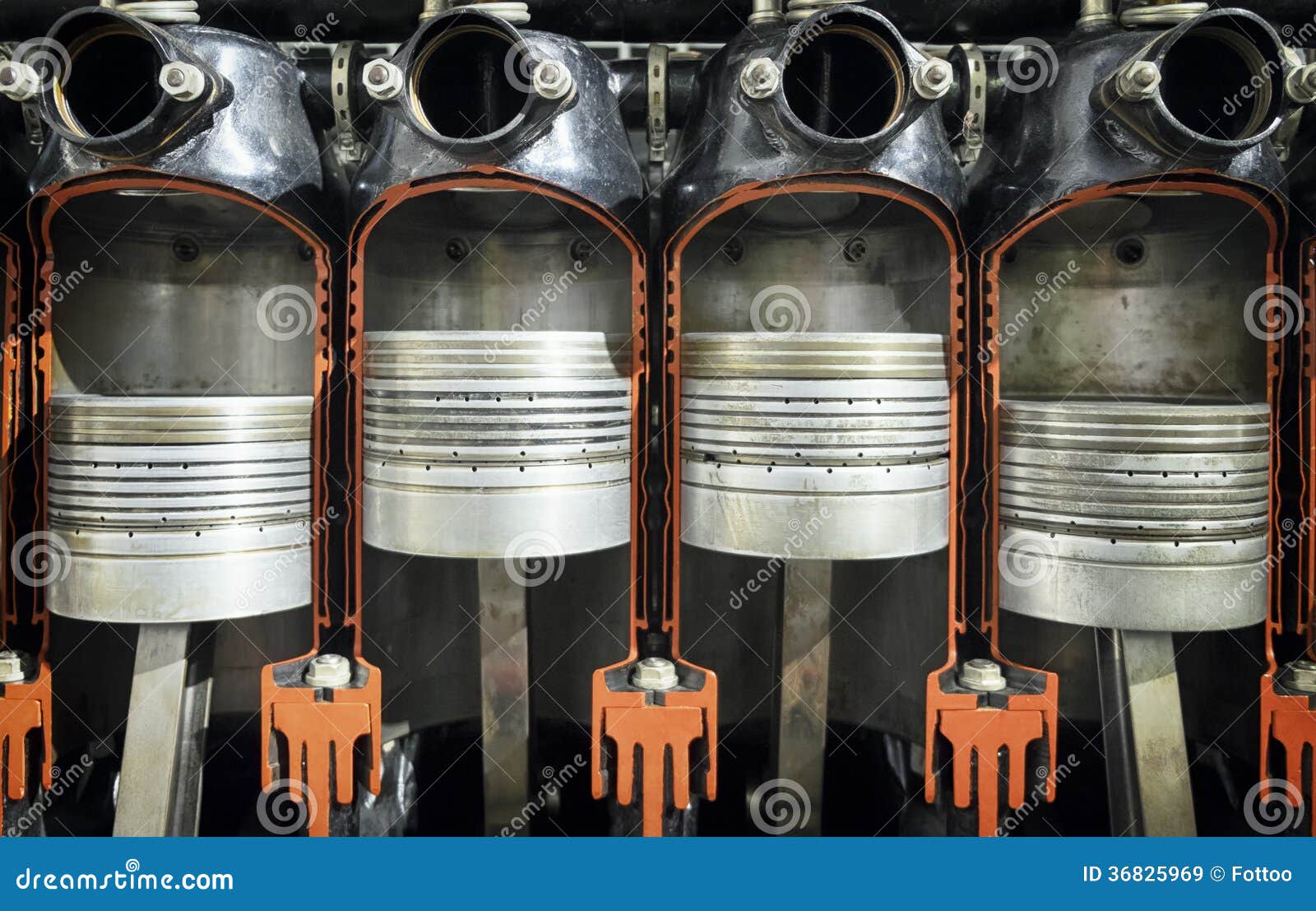 Cylinder - cross section stock image. Image of equipment - 36825969