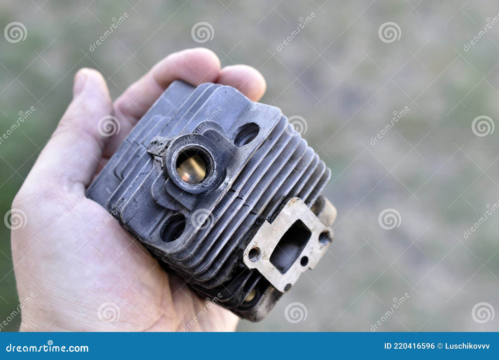 Cylinder from the Internal Combustion Engine Engine in the Hand Stock ...