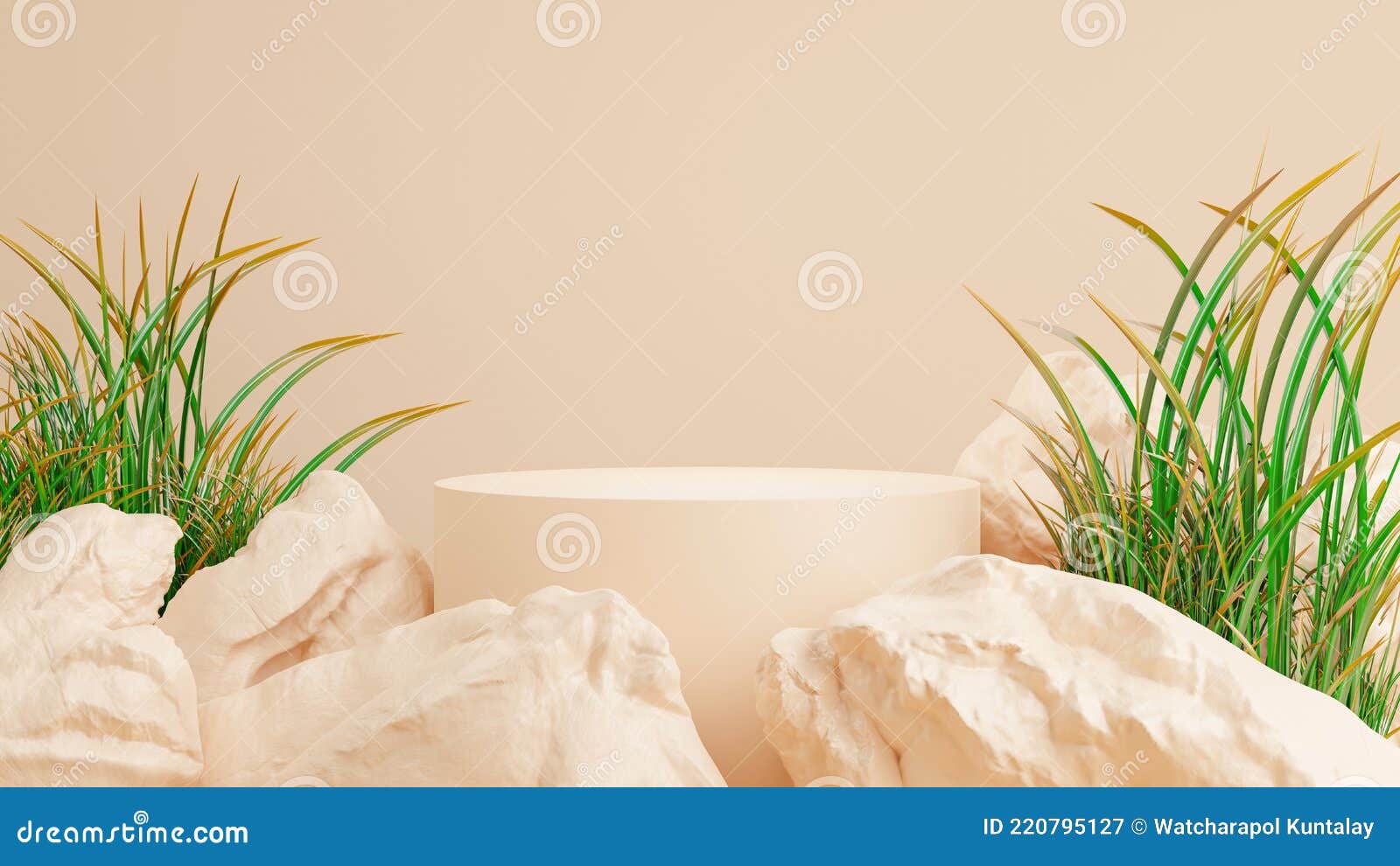 Cylinder Podium with Rock for Product Display Stock Illustration ...
