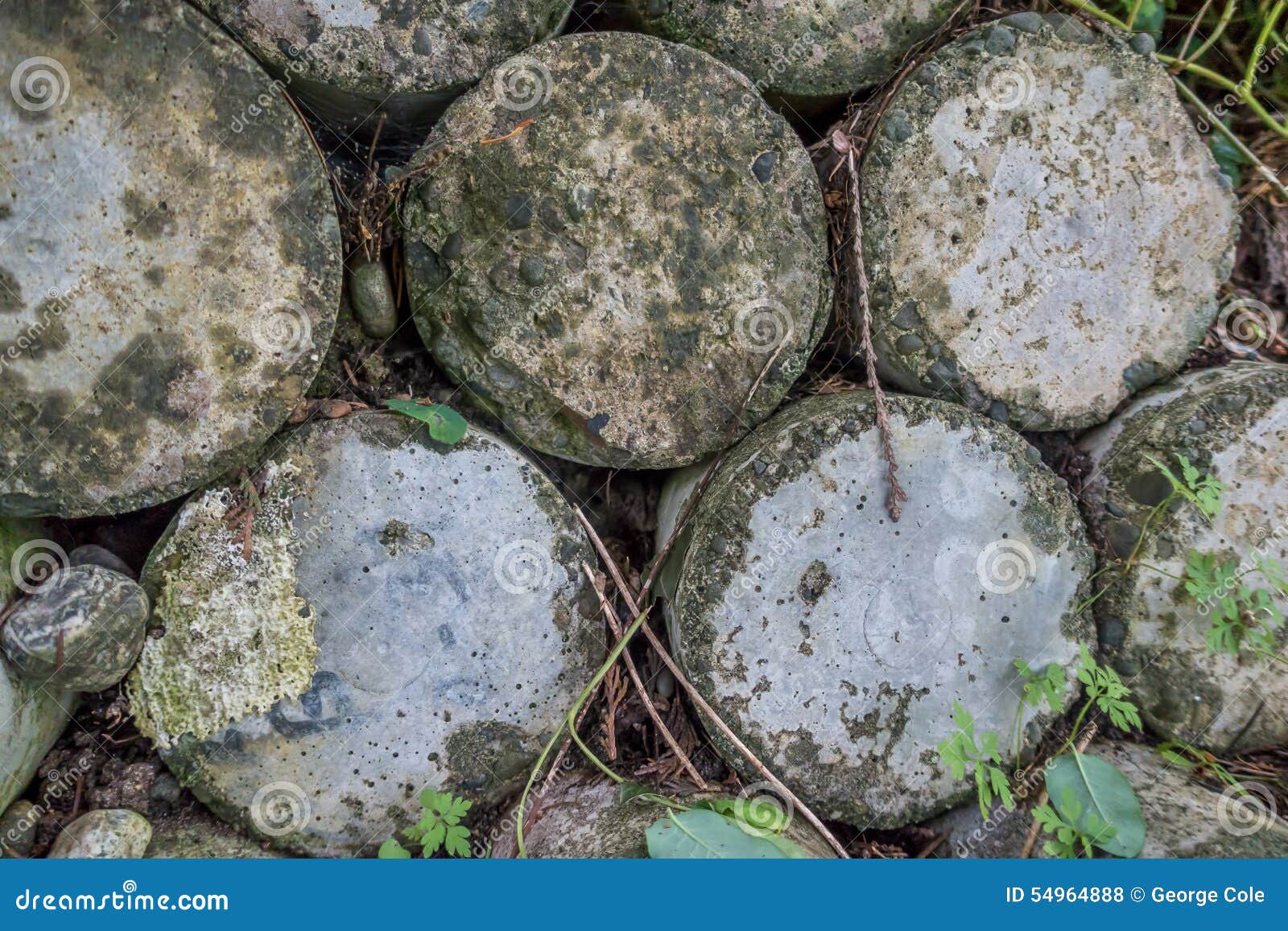 Cylinder Retaining Wall - Closeup Stock Photo - Image of steep, closeup ...