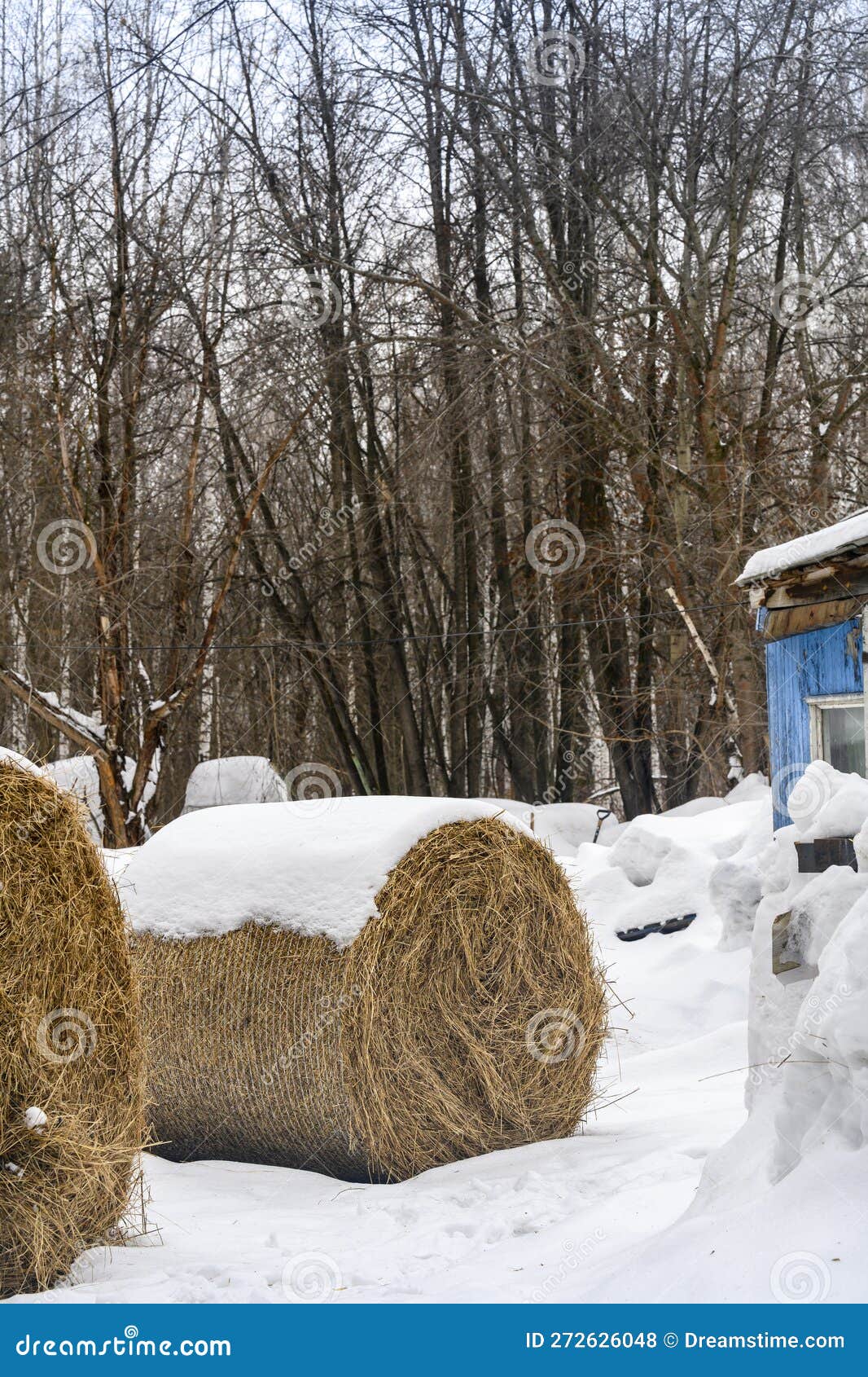 Haystacks In Winter Village Royalty-Free Stock Photography ...