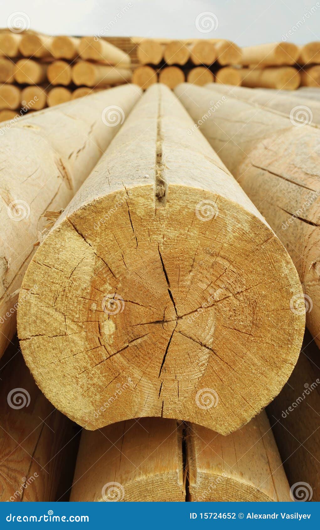 Cylindrical logs stock photo. Image of square, cylindrical - 15724652