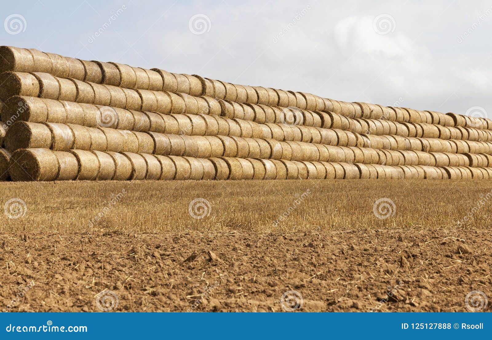Cylindrical rolls of straw stock photo. Image of countryside - 125127888