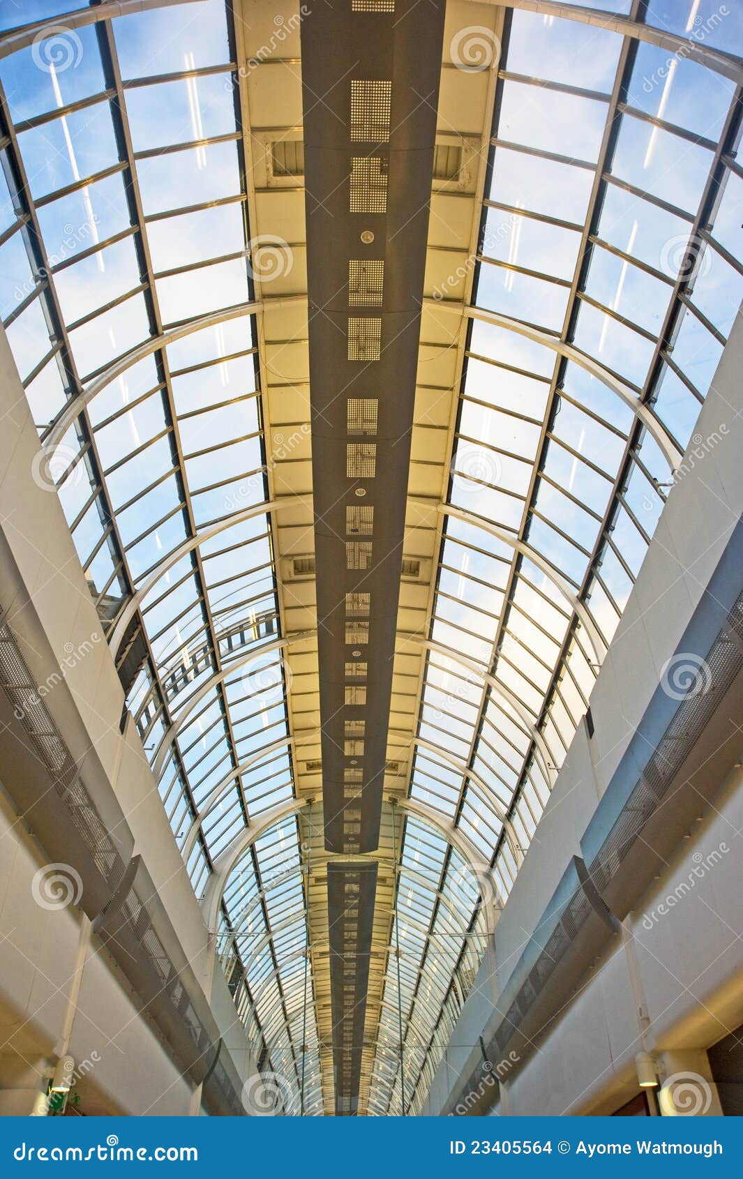 Cylindrical Section of Glass Roof . Stock Photo - Image of heat, green ...