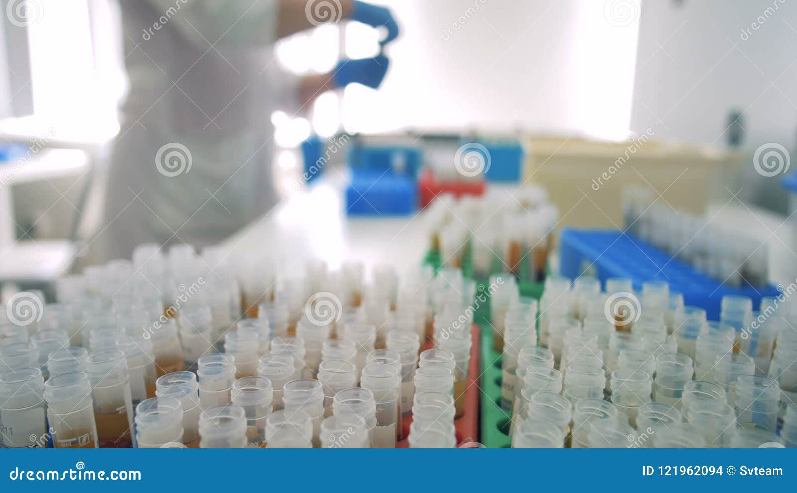 Cylindrical Test Tubes are Getting Sorted by a Lab Worker Stock Footage ...