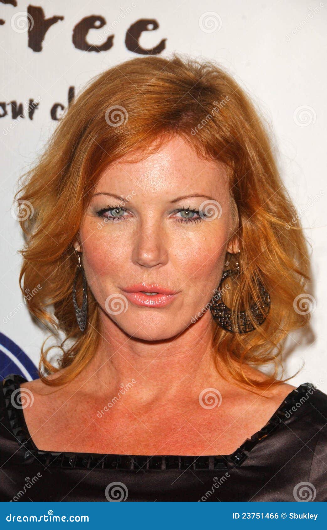 Cynthia Basinet editorial photo. Image of hollywood, 2008 - 23751466