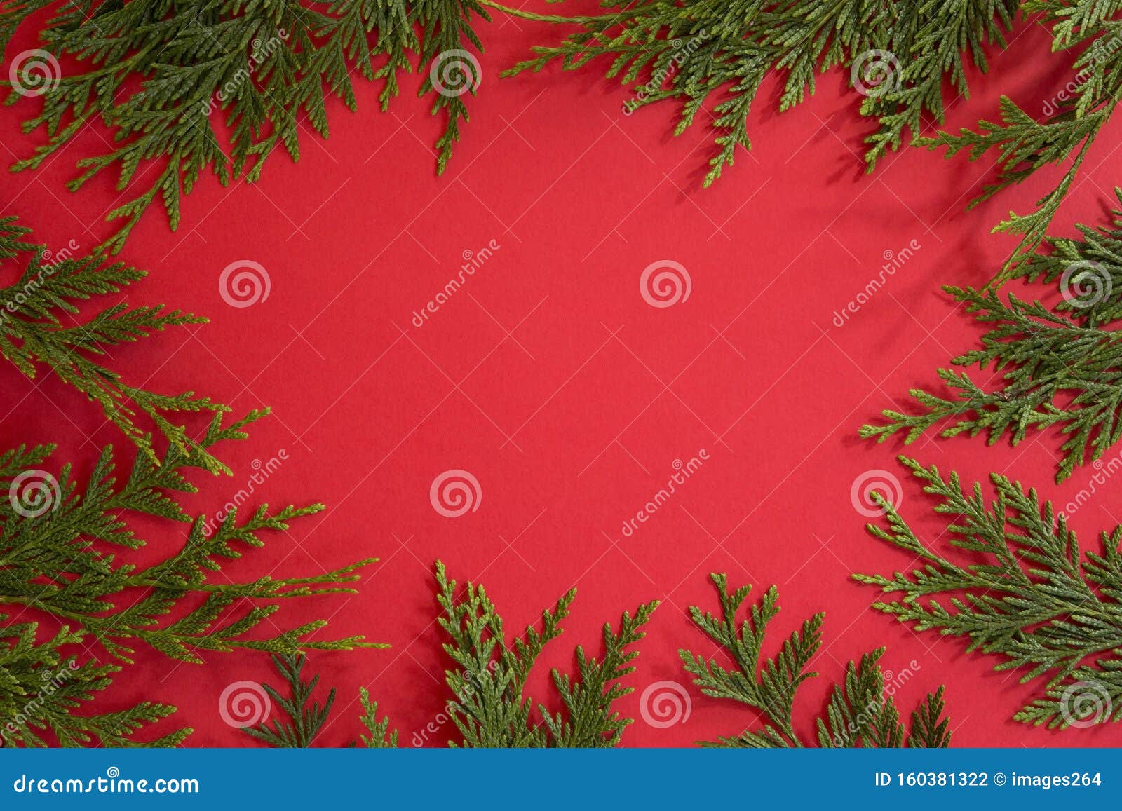 Cypress background stock photo. Image of garland, festive - 160381322
