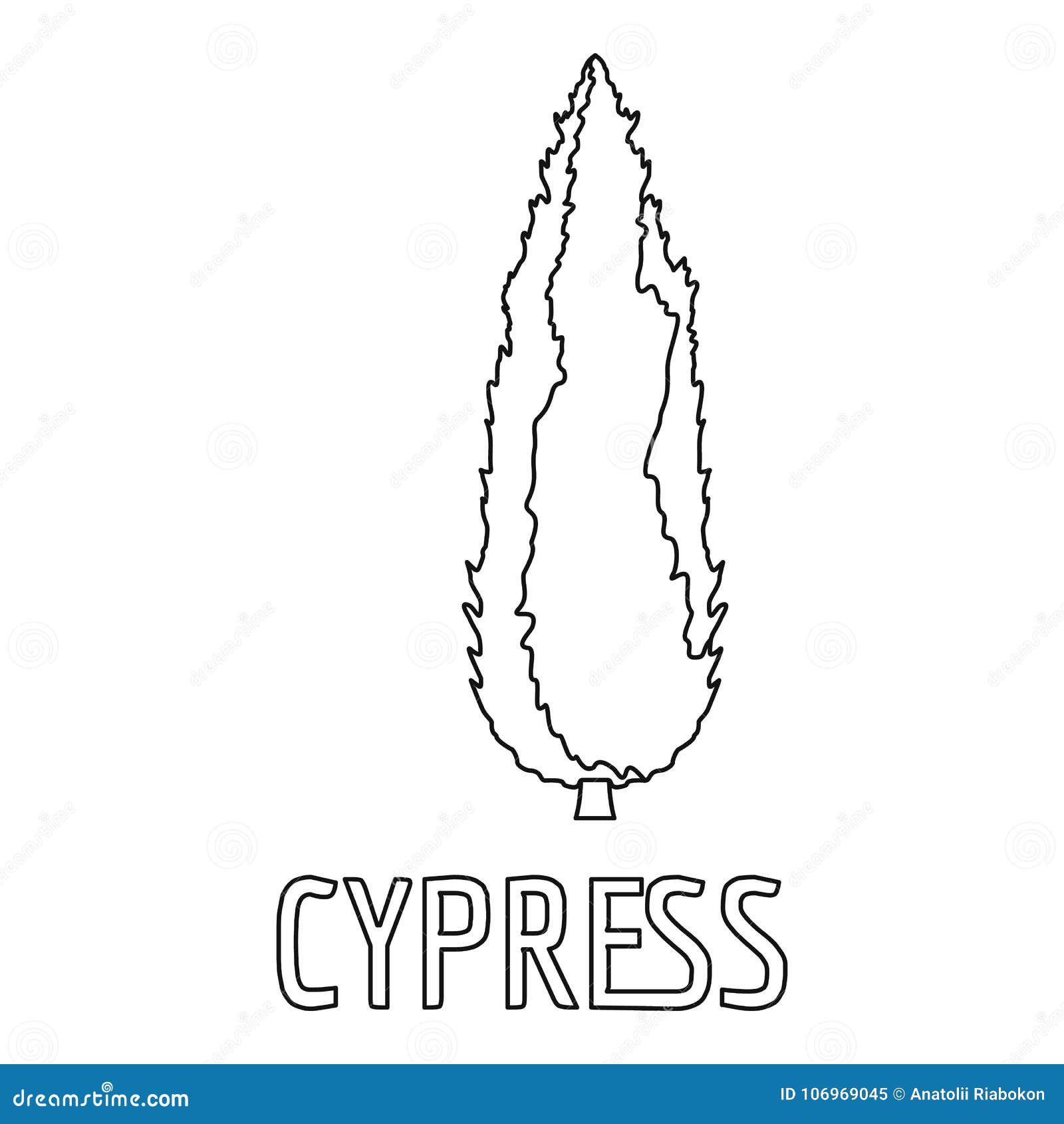 Cypress Icon, Outline Style. Stock Vector - Illustration of ruit, farm ...