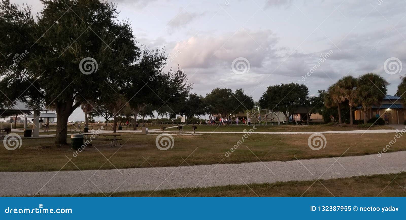 Cypress point park stock image. Image of park, cypress - 132387955