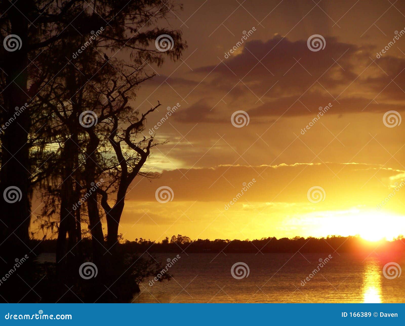 Cypress Sunset stock image. Image of light, country, clouds - 166389