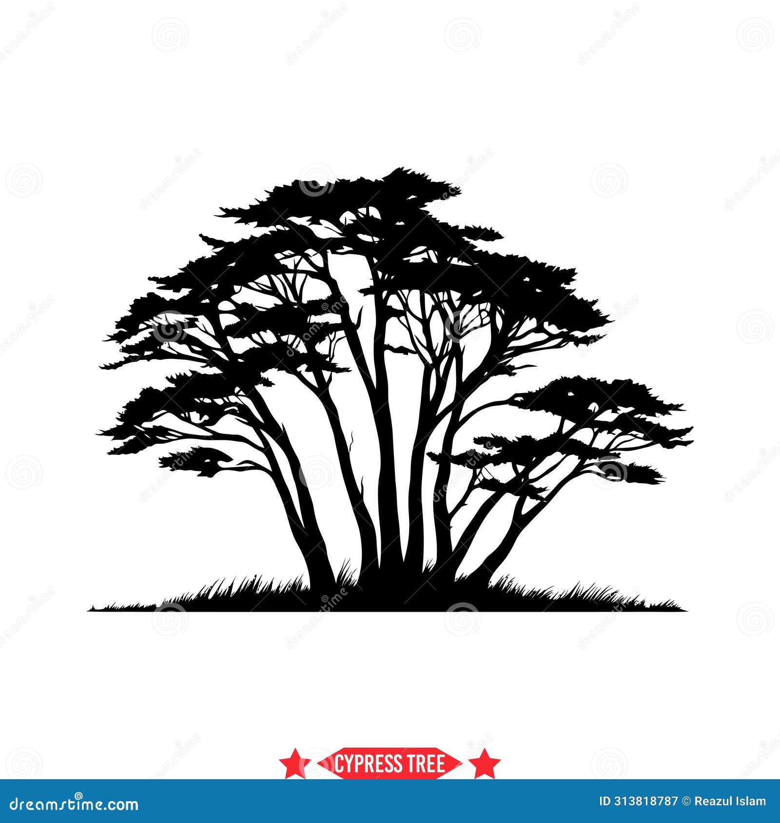 Cypress Tree Vector Graphics Tranquil Silhouettes for Calm Designs ...