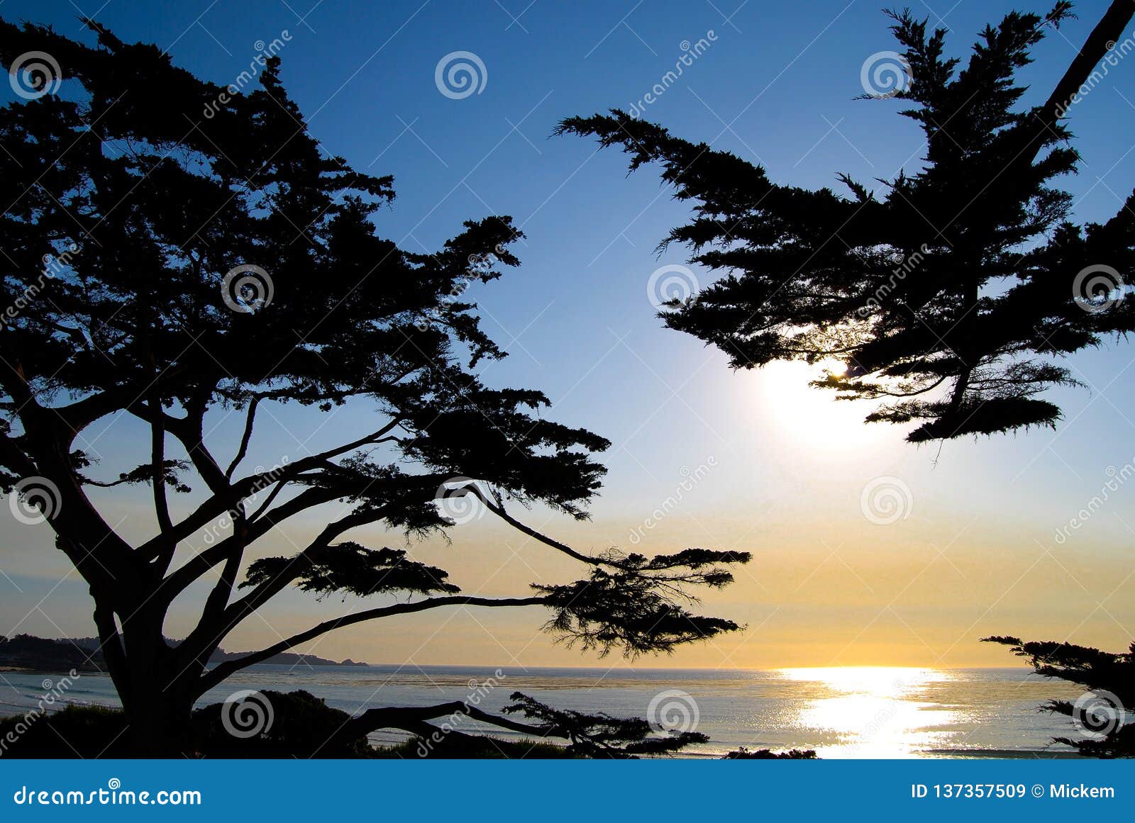 Cypress Trees Carmel California Beach at Sunset Stock Image - Image of ...