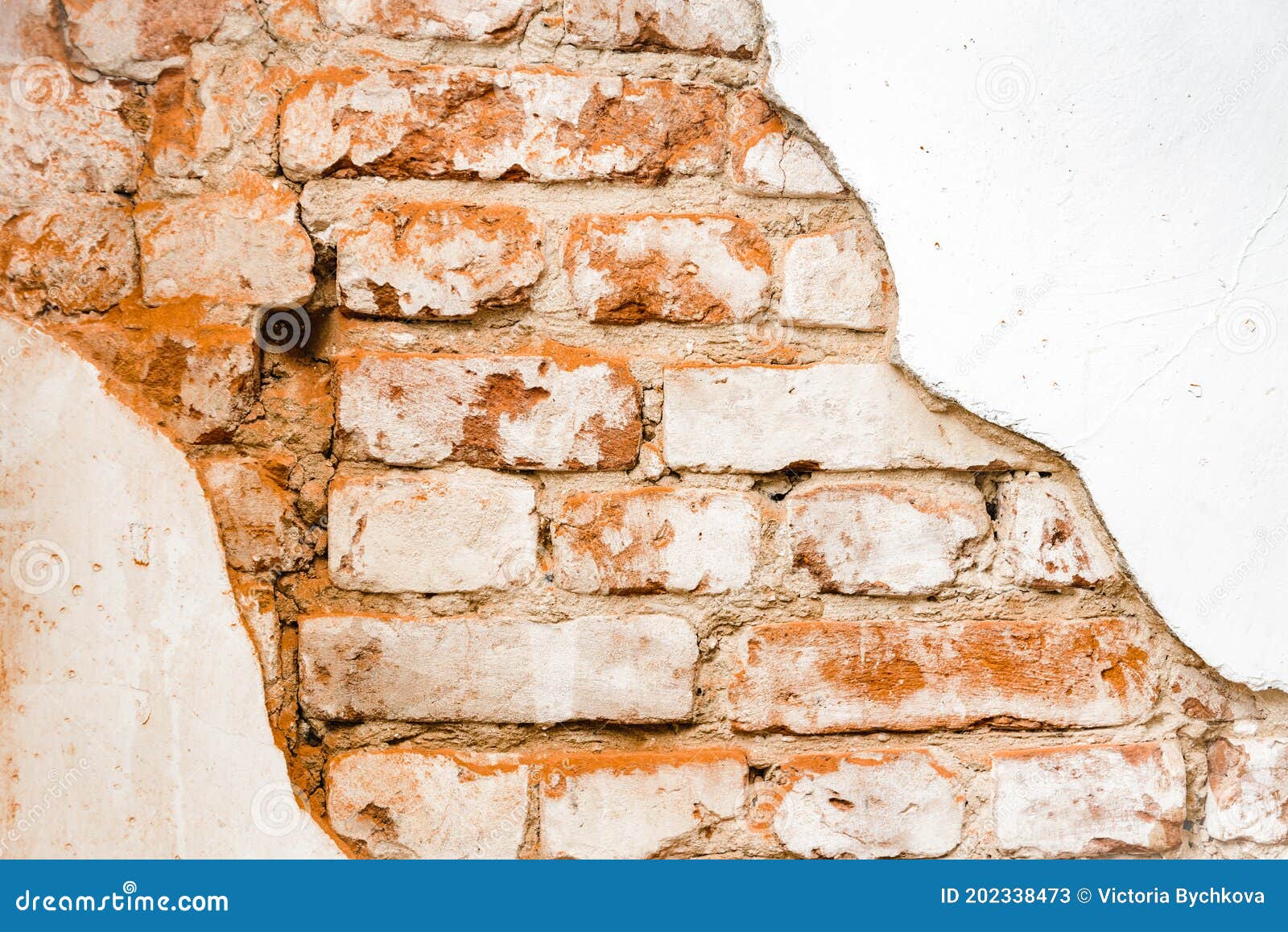Cypress Wall Texture Pattern Red Cypress Blocks, Close-up, Old ...