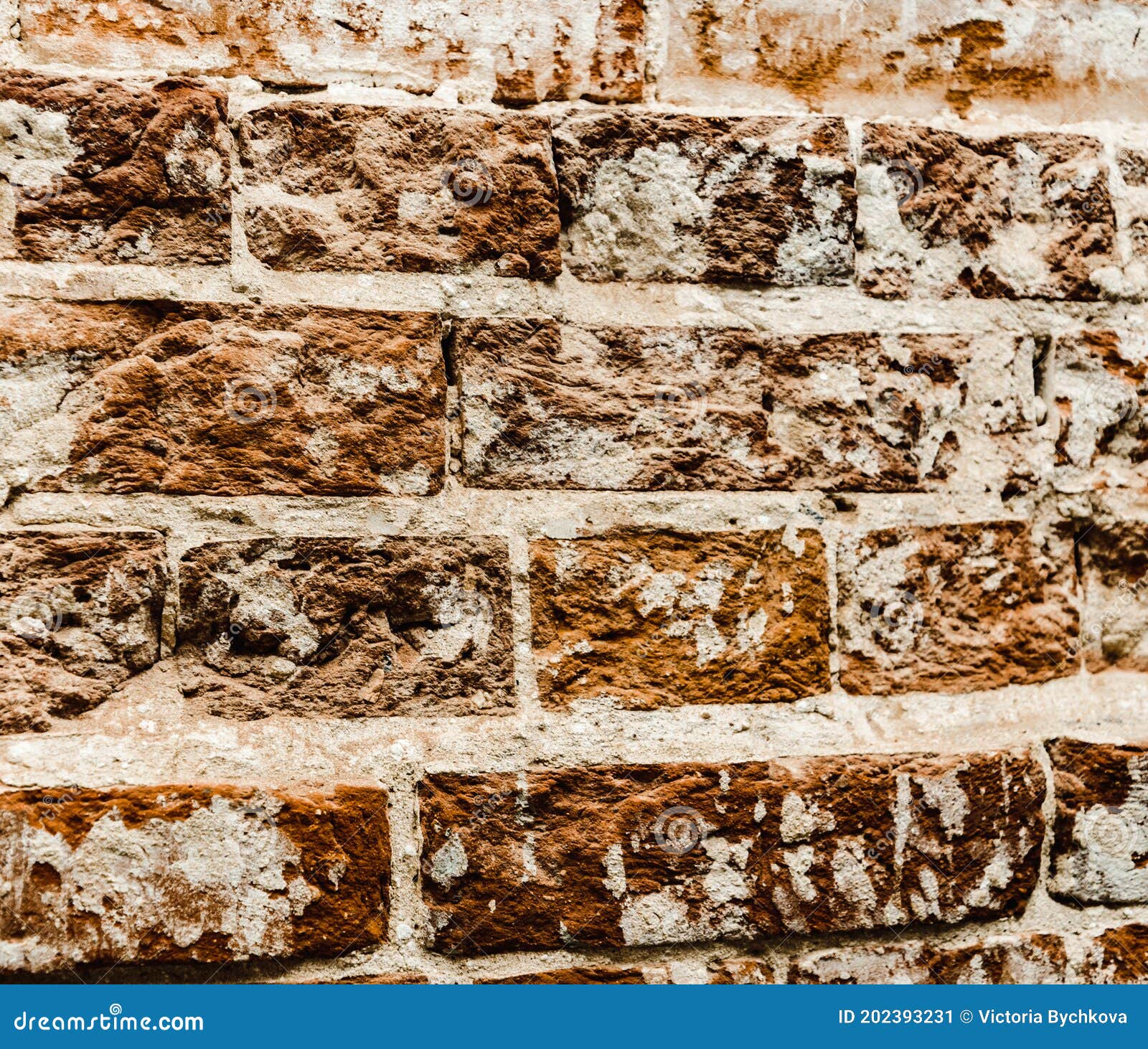 Cypress Wall Texture Pattern Red Cypress Blocks, Close-up, Old ...