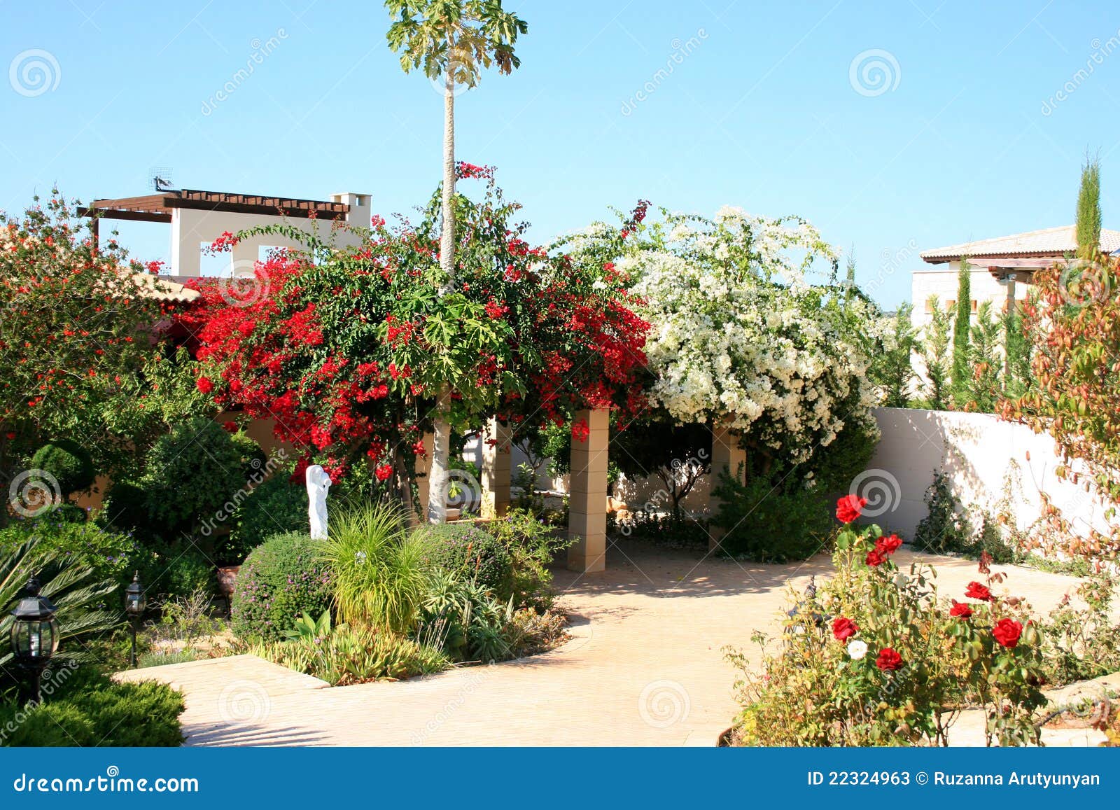 Cyprus house frontyard stock image. Image of nature, building - 22324963
