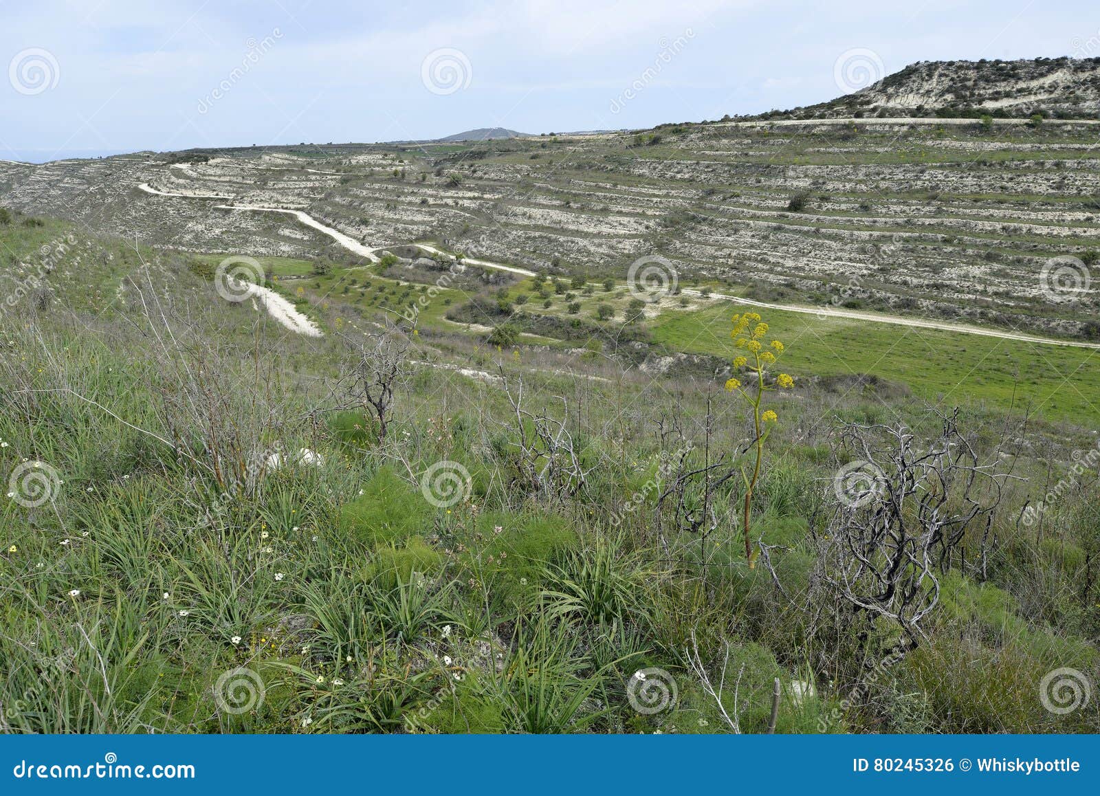 Cyprus Landscape stock photo. Image of terraced, fields - 80245326