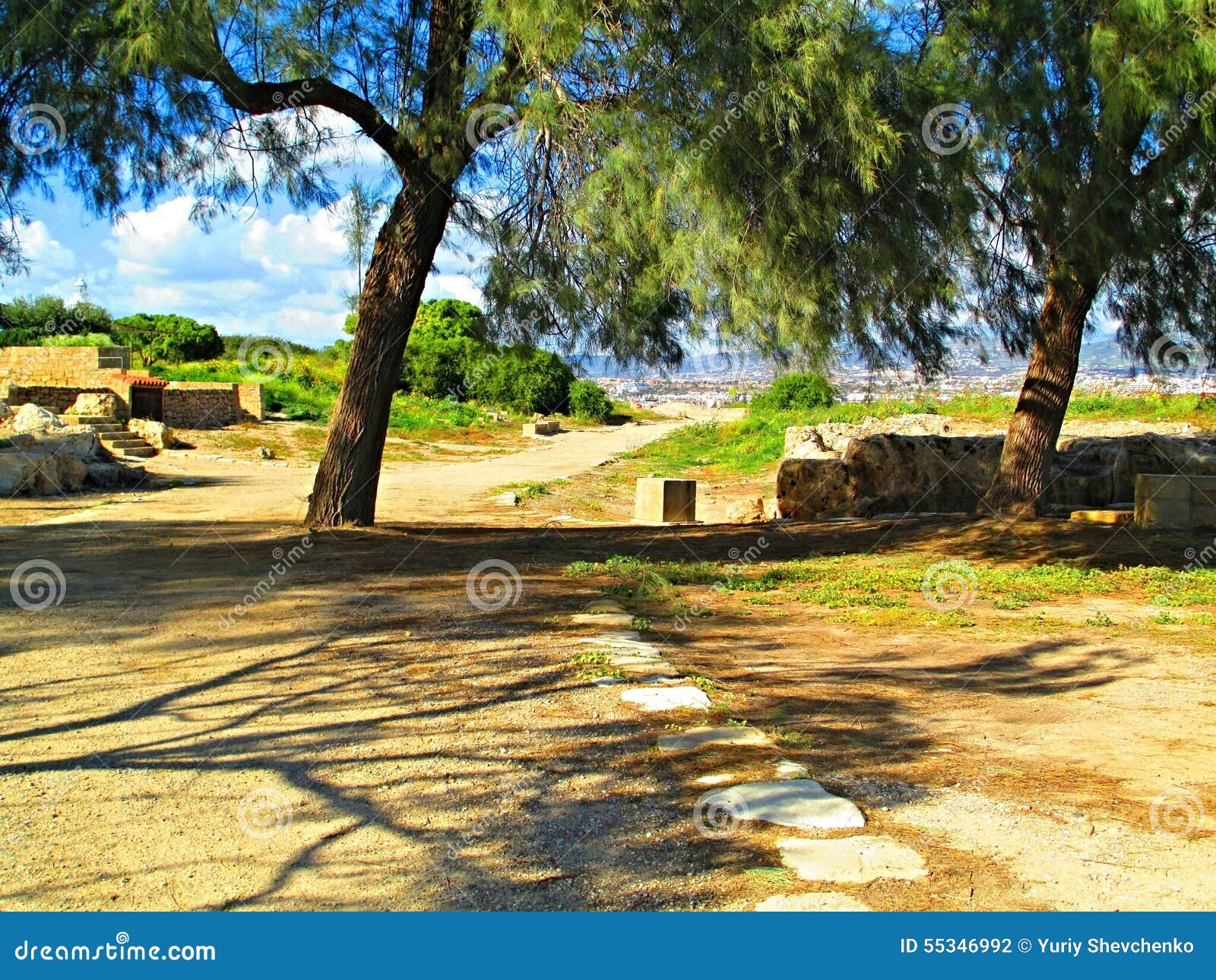 Cyprus stock photo. Image of nature, trees, summer, sunny - 55346992