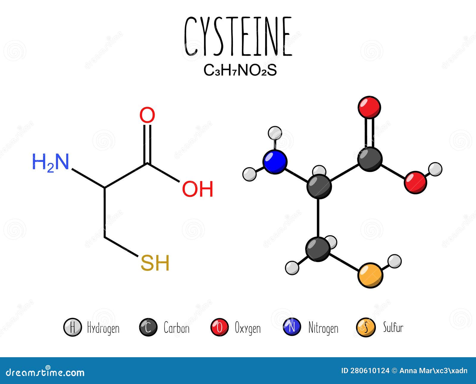 Cysteine Amino Acid Chemical Molecule Structure Cartoon Vector ...
