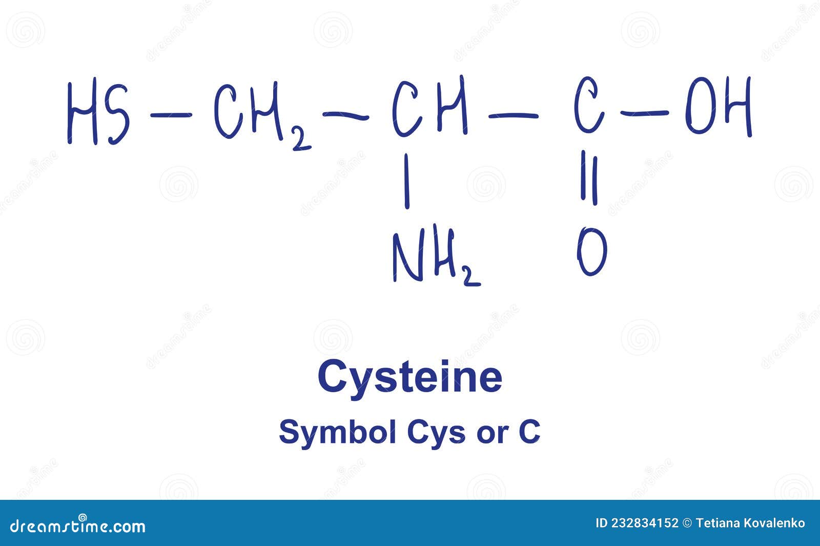 Cysteine Chemical Structure. Vector Illustration Hand Drawn Stock ...