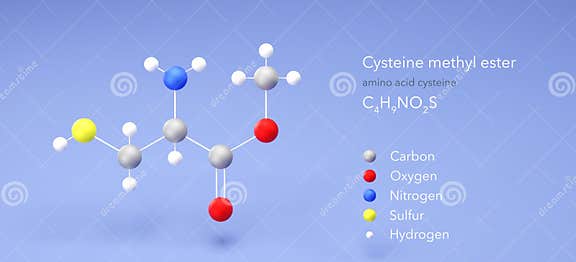 Cysteine Methyl Ester Molecule, Molecular Structures, Amino Acid ...