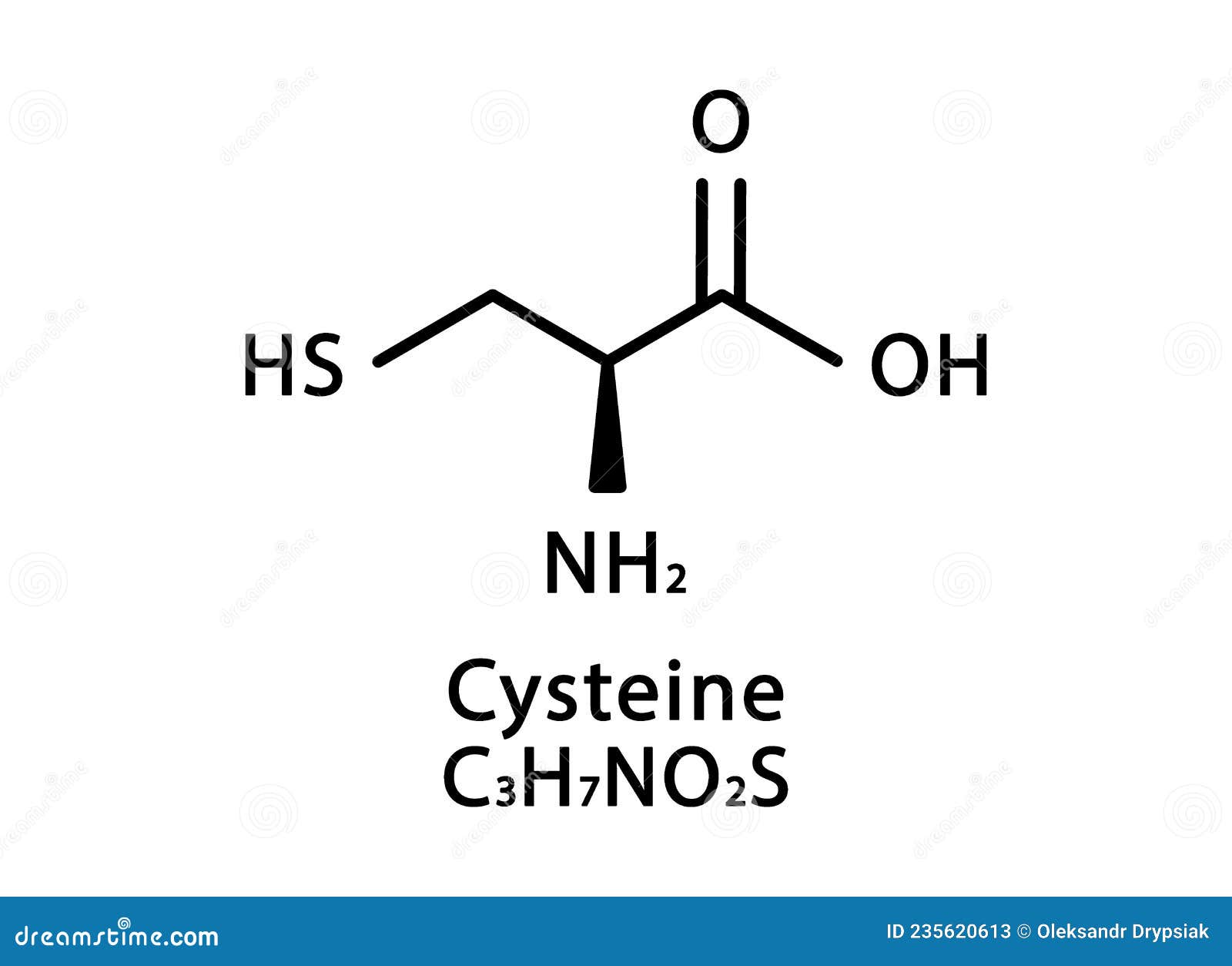 Cysteine Molecular Structure. Cysteine Skeletal Chemical Formula ...