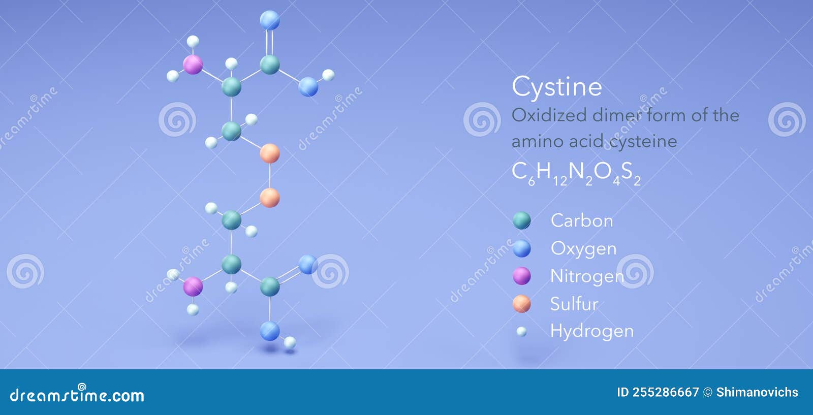 Cystine, Molecular Structures, 3d Model, Structural Chemical Formula ...