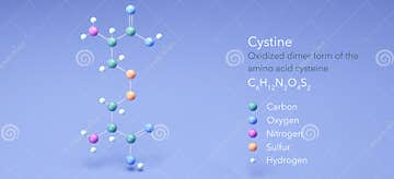 Cystine, Molecular Structures, 3d Model, Structural Chemical Formula ...