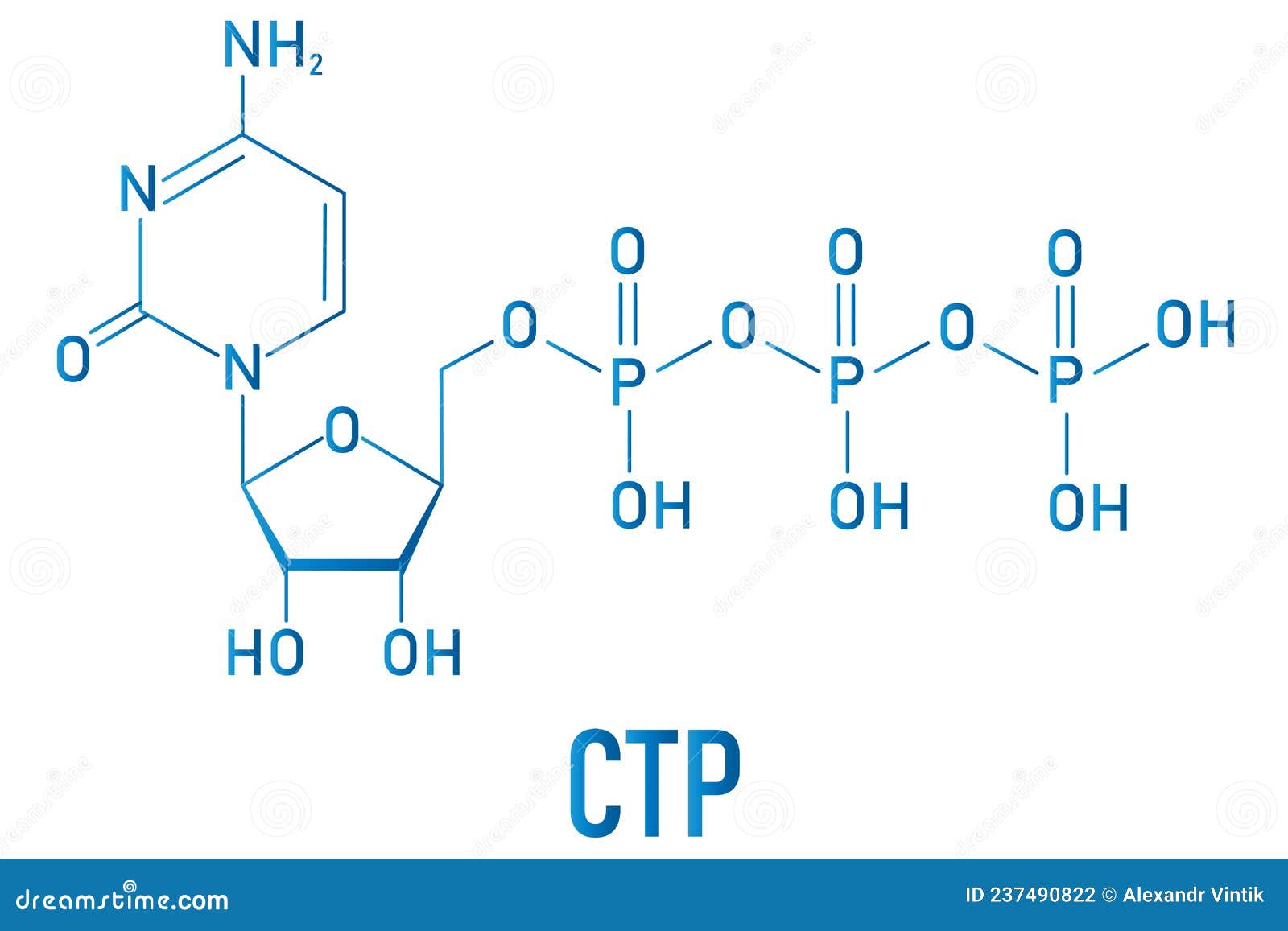 Cytidine Triphosphate or CTP RNA Building Block Molecule. Also ...