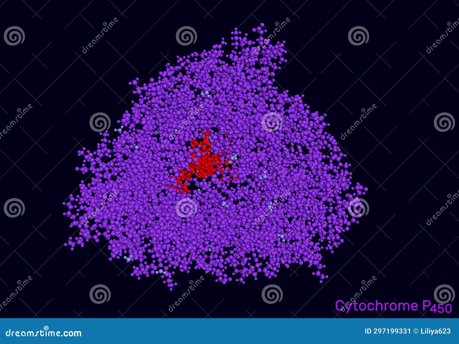 Cytochrome P450 Molecule. CYP 3A4 is the Most Promiscuous of the Human ...