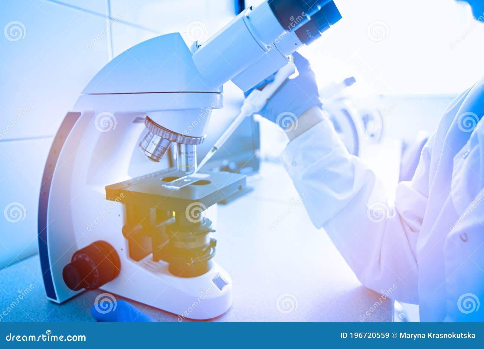 Cytological and Morphological Examination in the Laboratory Stock Image ...