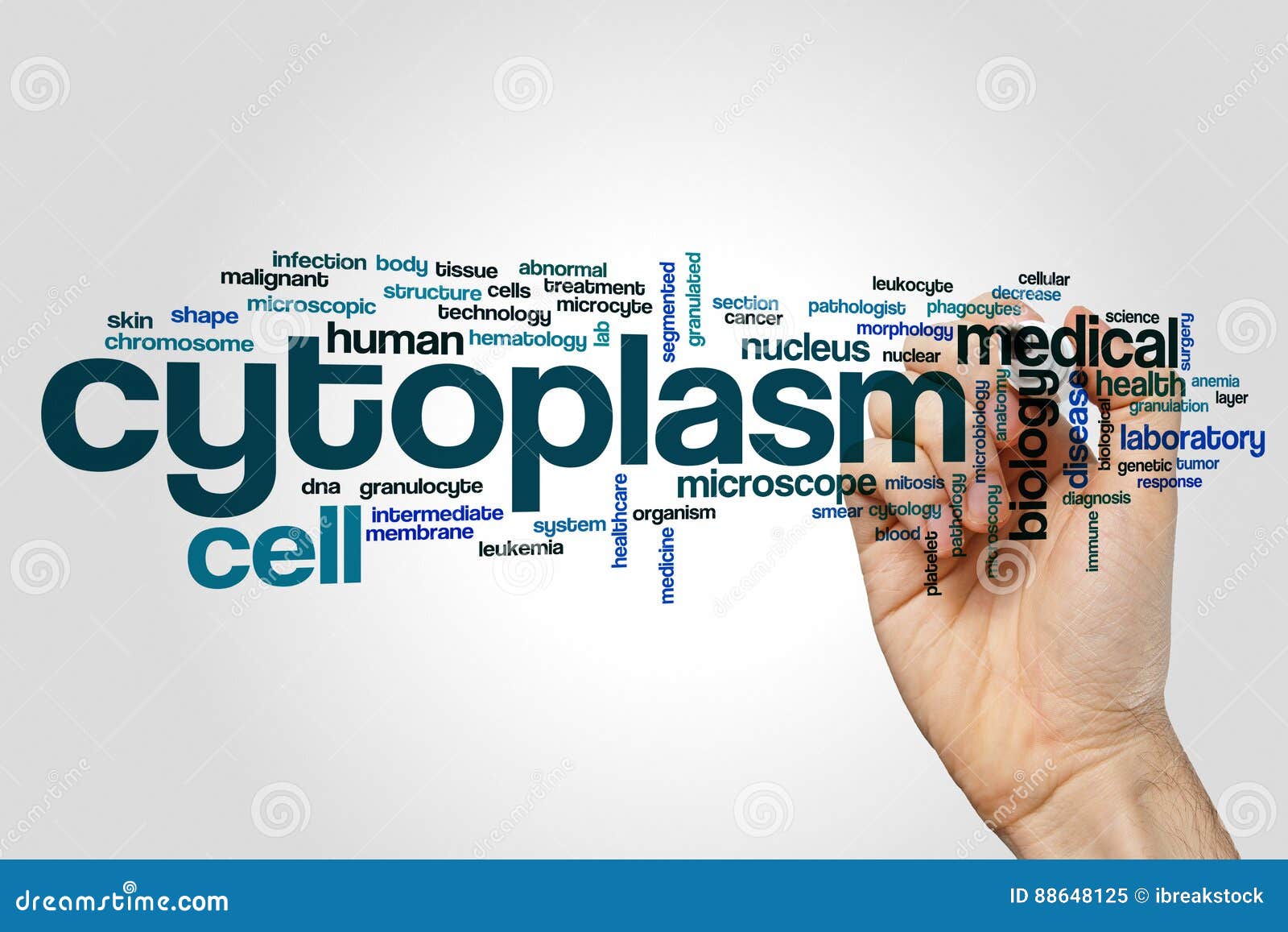 Cytoplasm Word Cloud Concept on Grey Background Stock Illustration ...