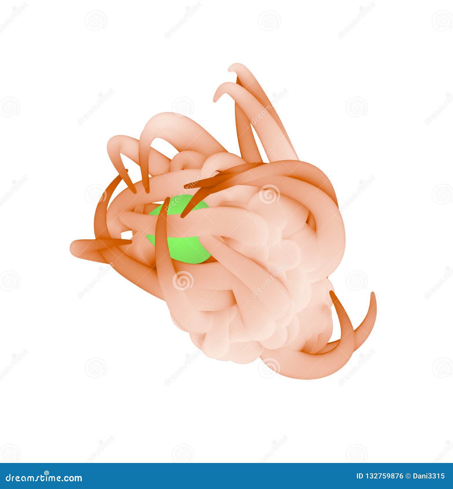 Cytotoxic T Cell Cartoon Vector | CartoonDealer.com #111842867