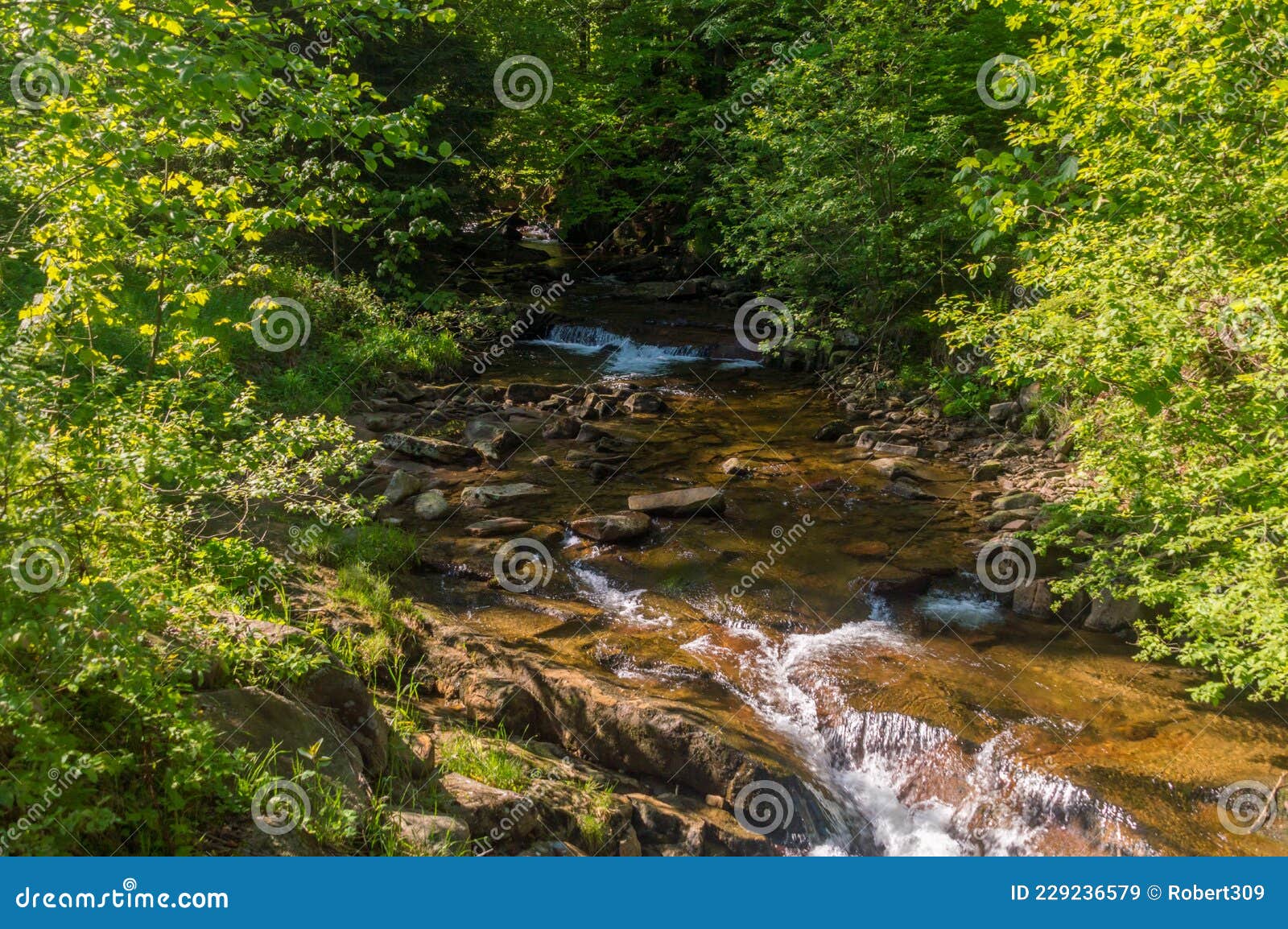 Czarna Wiselka Creek. Source Creek Of The Vistula River Royalty-Free ...