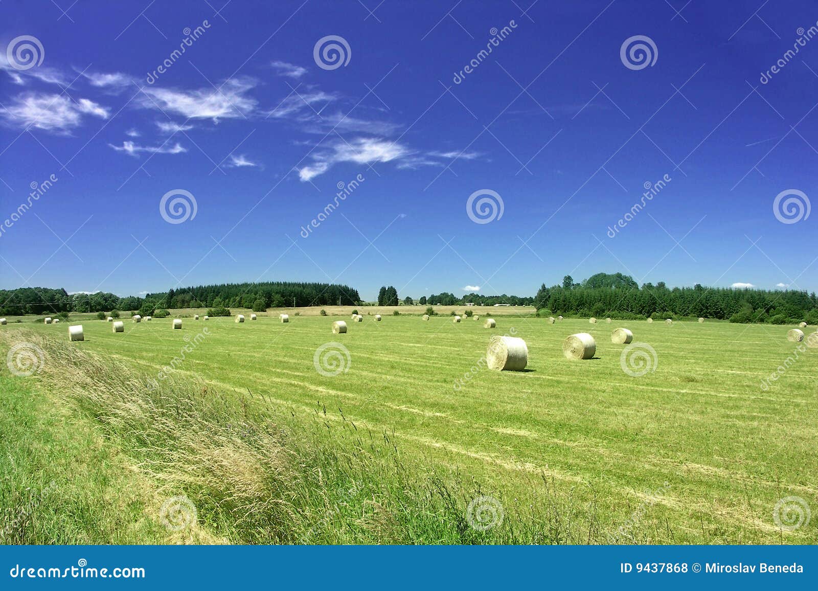 Czech Landscape - Field in Summer Stock Photo - Image of land, cloud ...