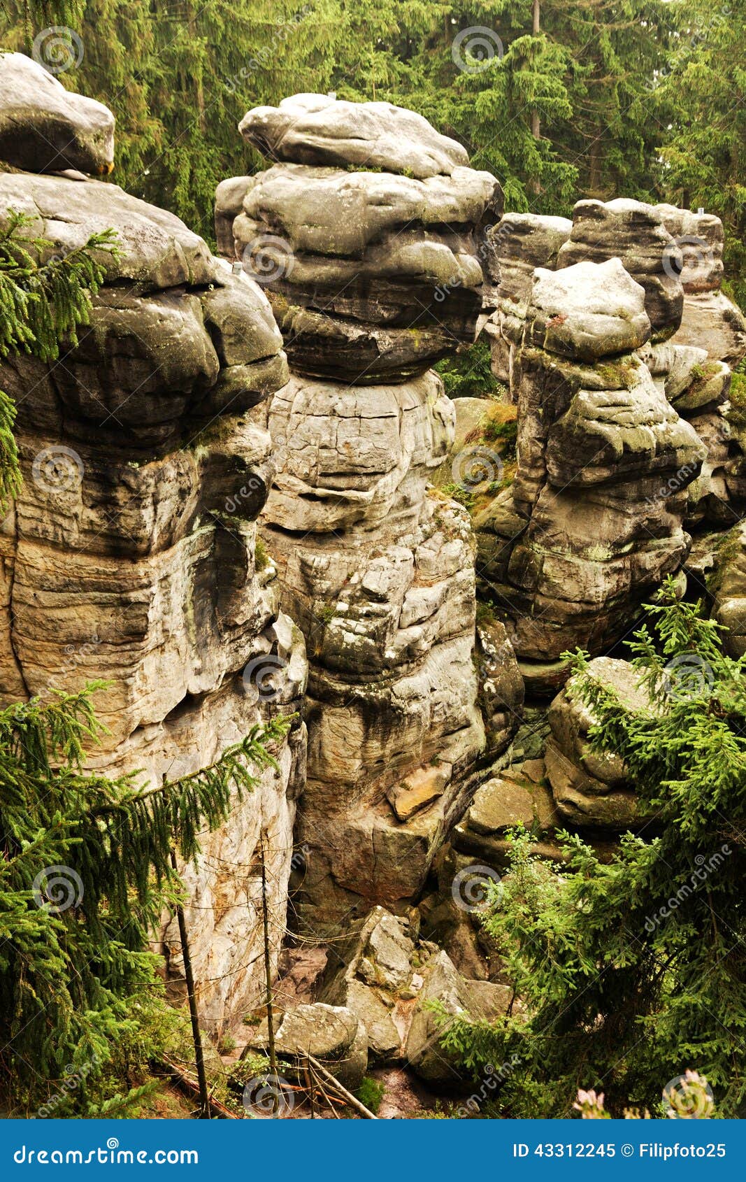 Czech rock town stock image. Image of forest, landscape - 43312245