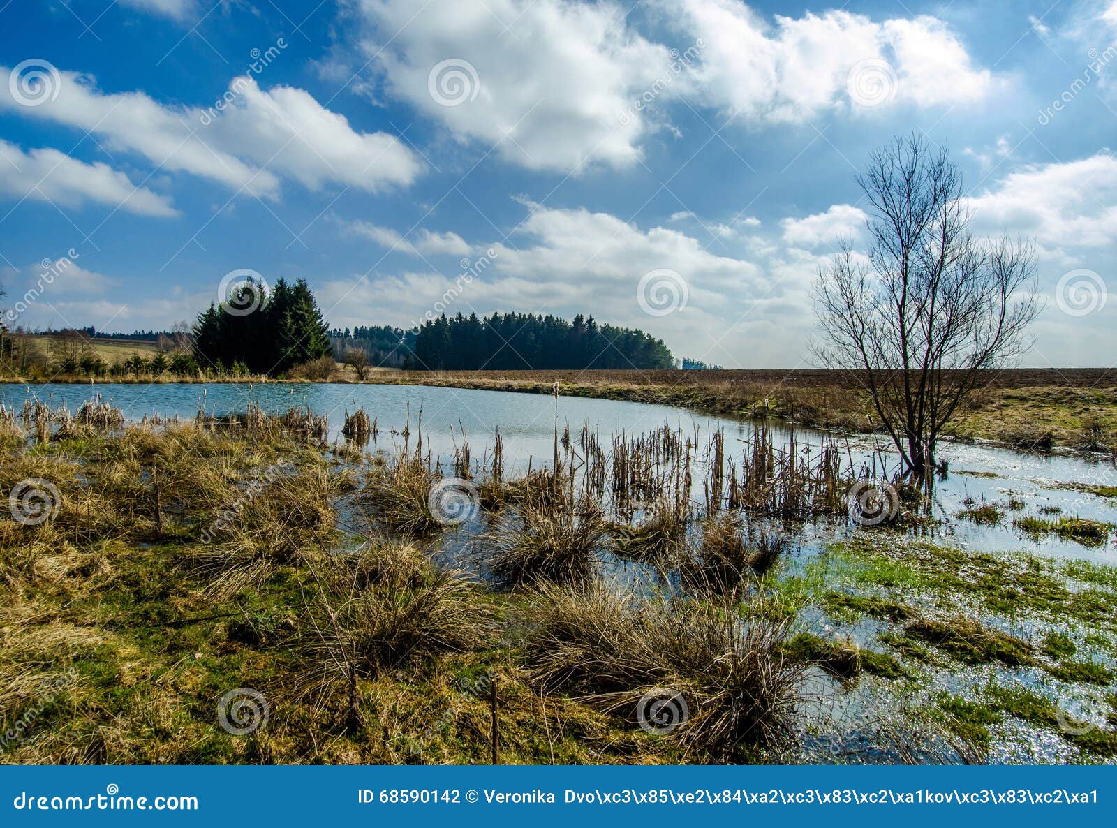 Czech spring landscape stock photo. Image of europe, color - 68590142