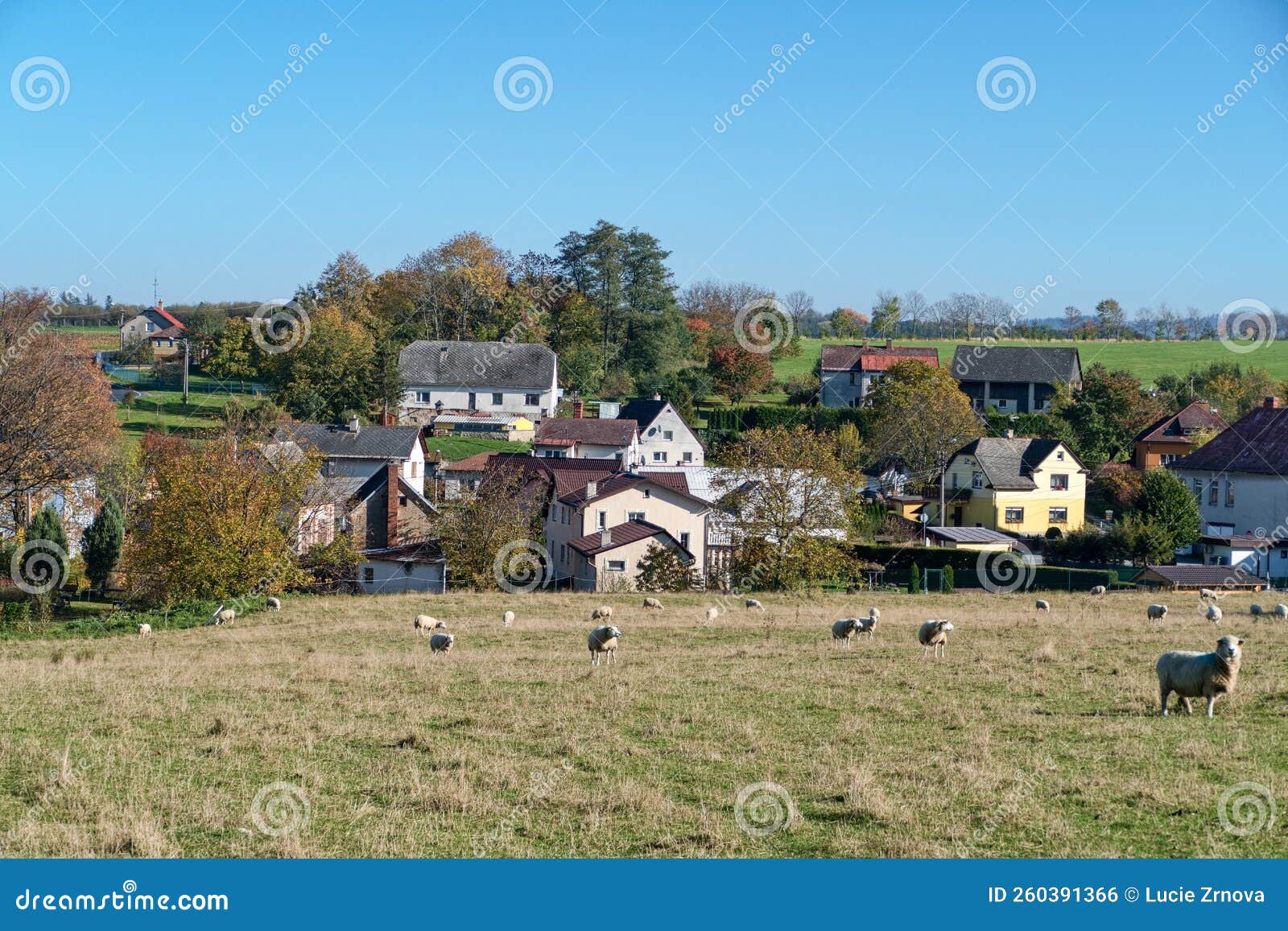 Czech Village Landscape in Countryside Stock Photo - Image of czech ...
