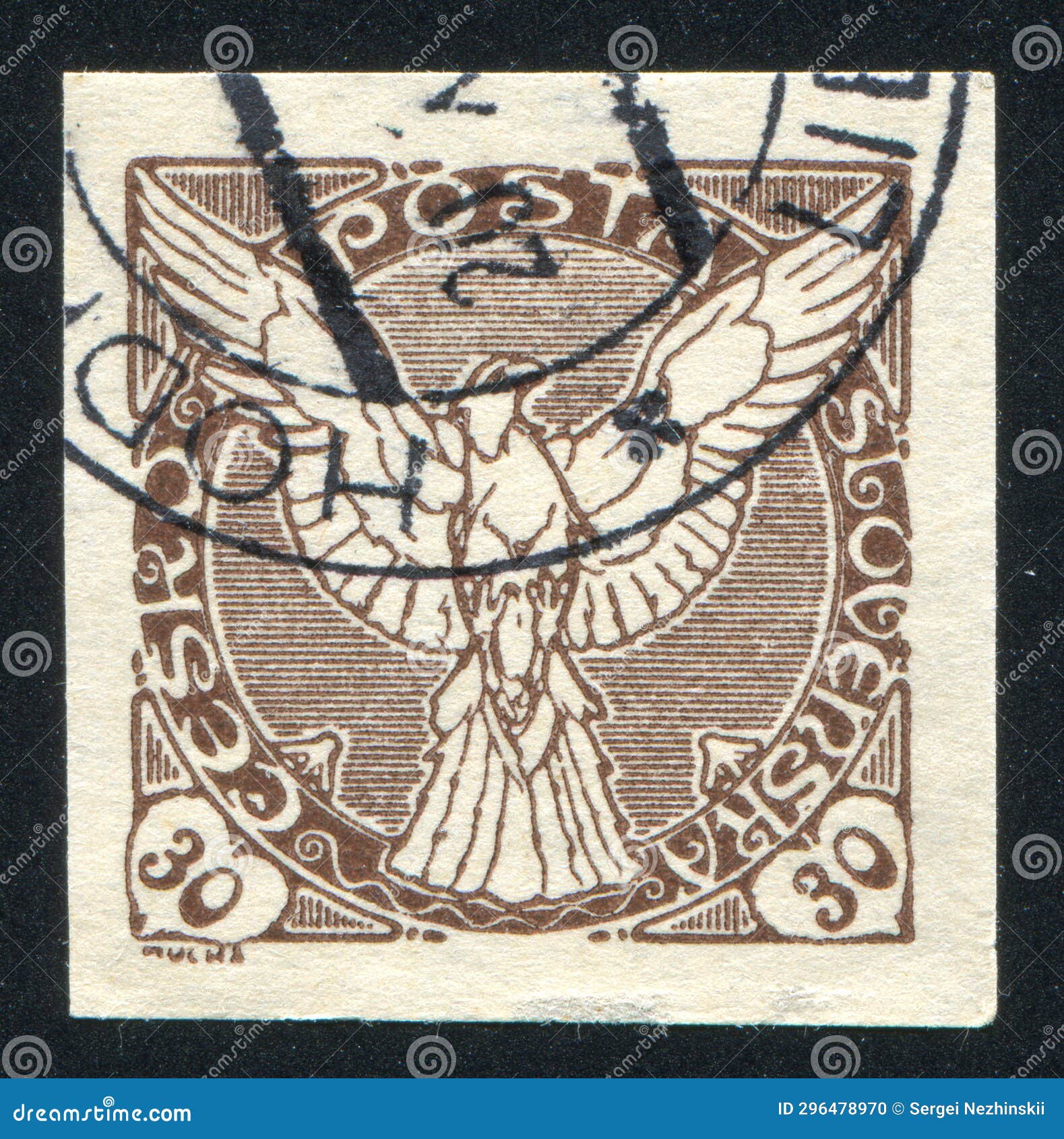 Windhover stock photo. Image of czechoslovakia, fauna - 296478970