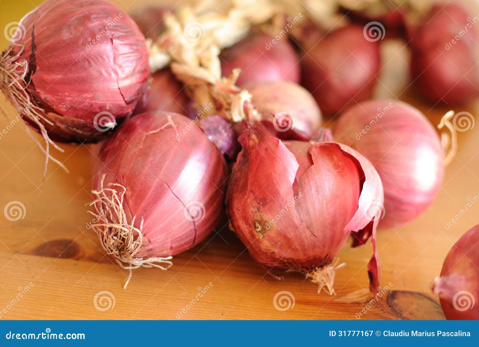 Czerwona cebula obraz stock. Obraz złożonej z składnik - 31777167