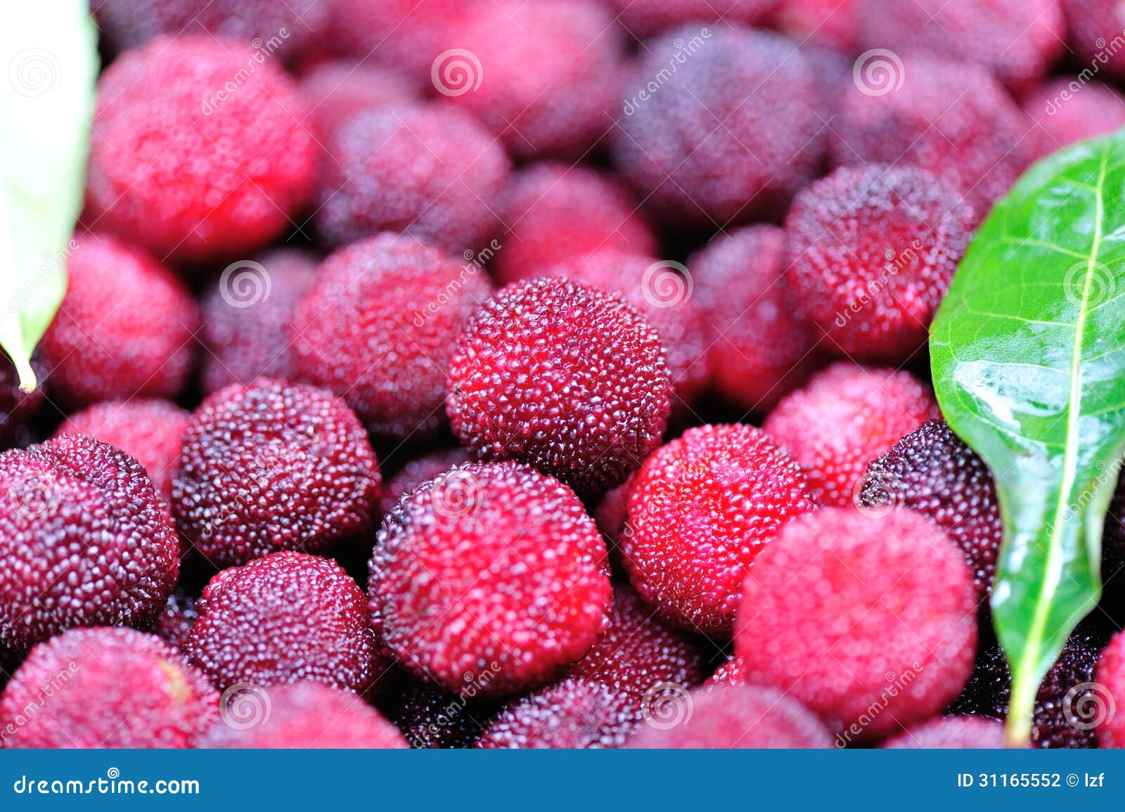 Czerwony waxberry rynek zdjęcie stock. Obraz złożonej z greenbacks ...