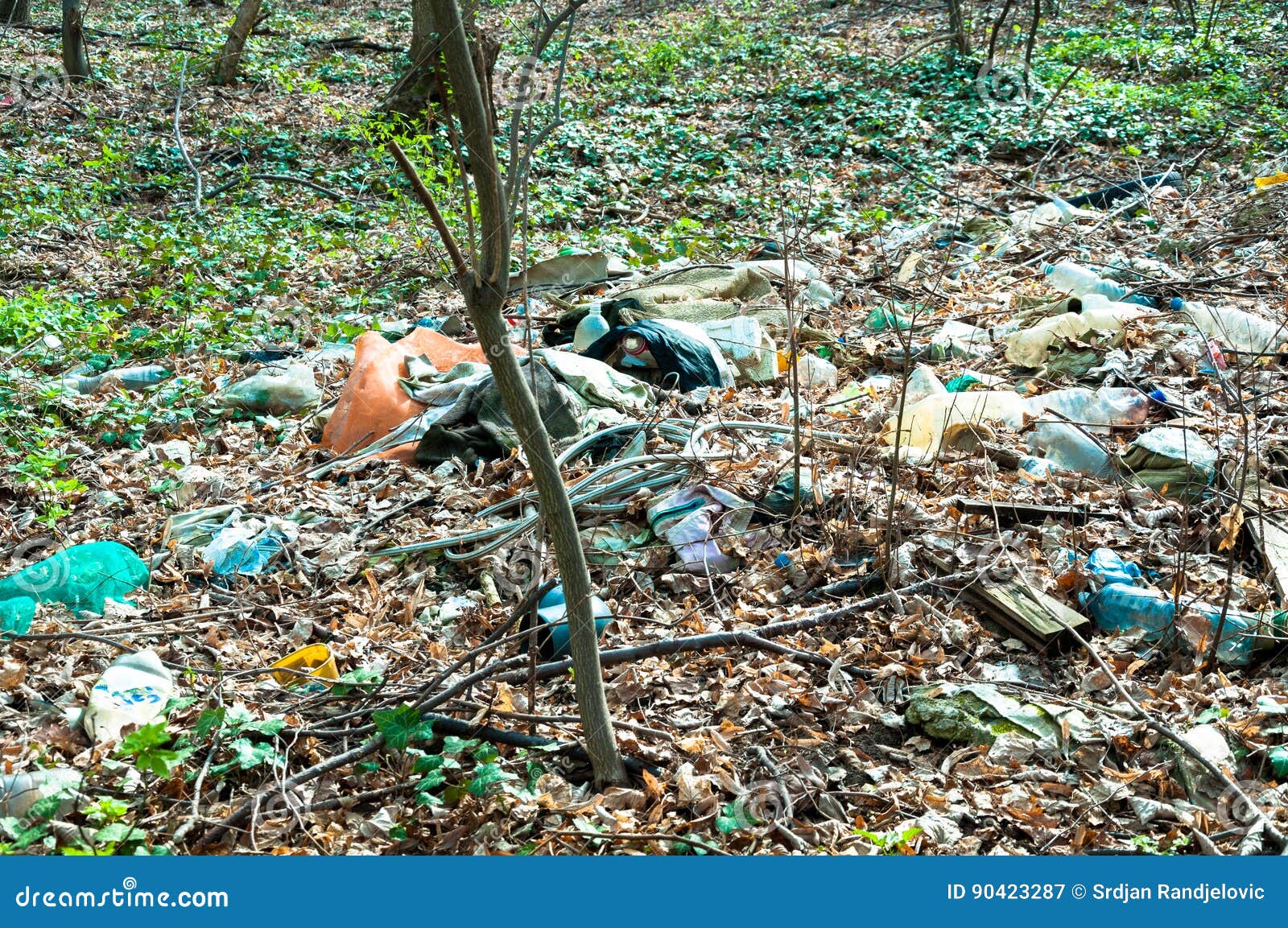 Déchets Dans La Pollution De Nature De Forêt Image stock - Image du ...