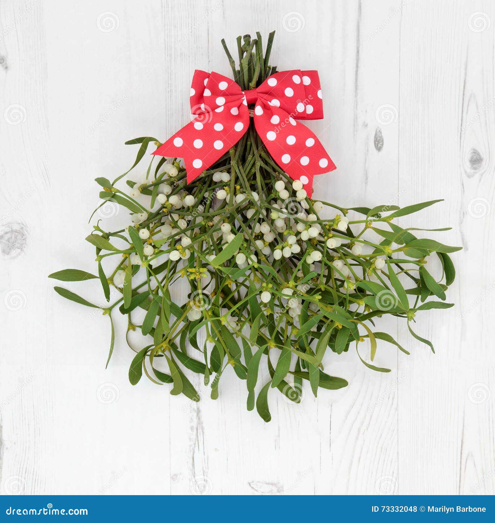 Décoration de gui de Noël photo stock. Image du joyeux - 73332048