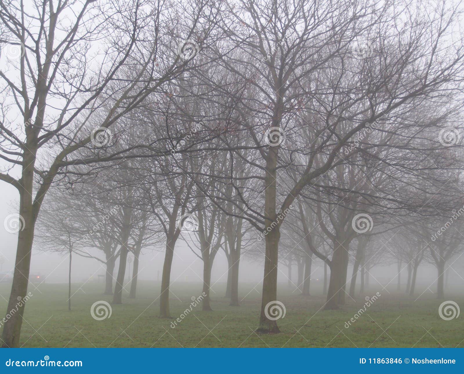 Día brumoso foto de archivo. Imagen de niebla, travieso - 11863846