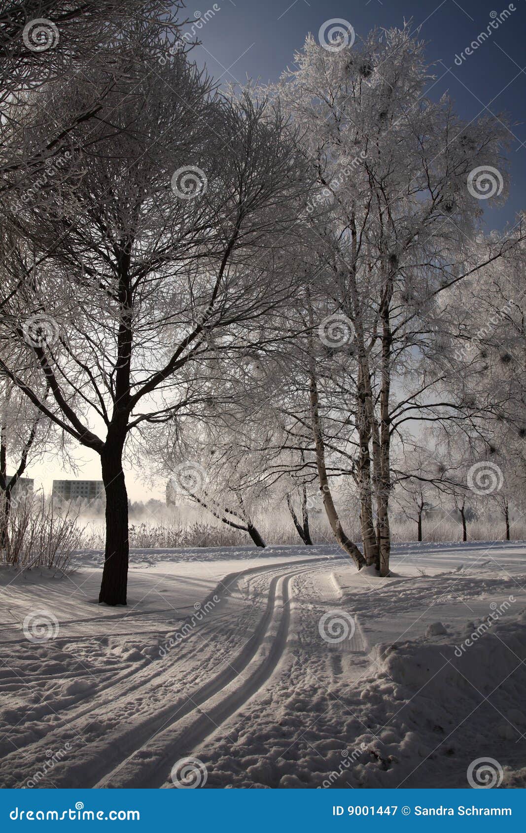 Día frío imagen de archivo. Imagen de asoleado, nube, finlandia - 9001447