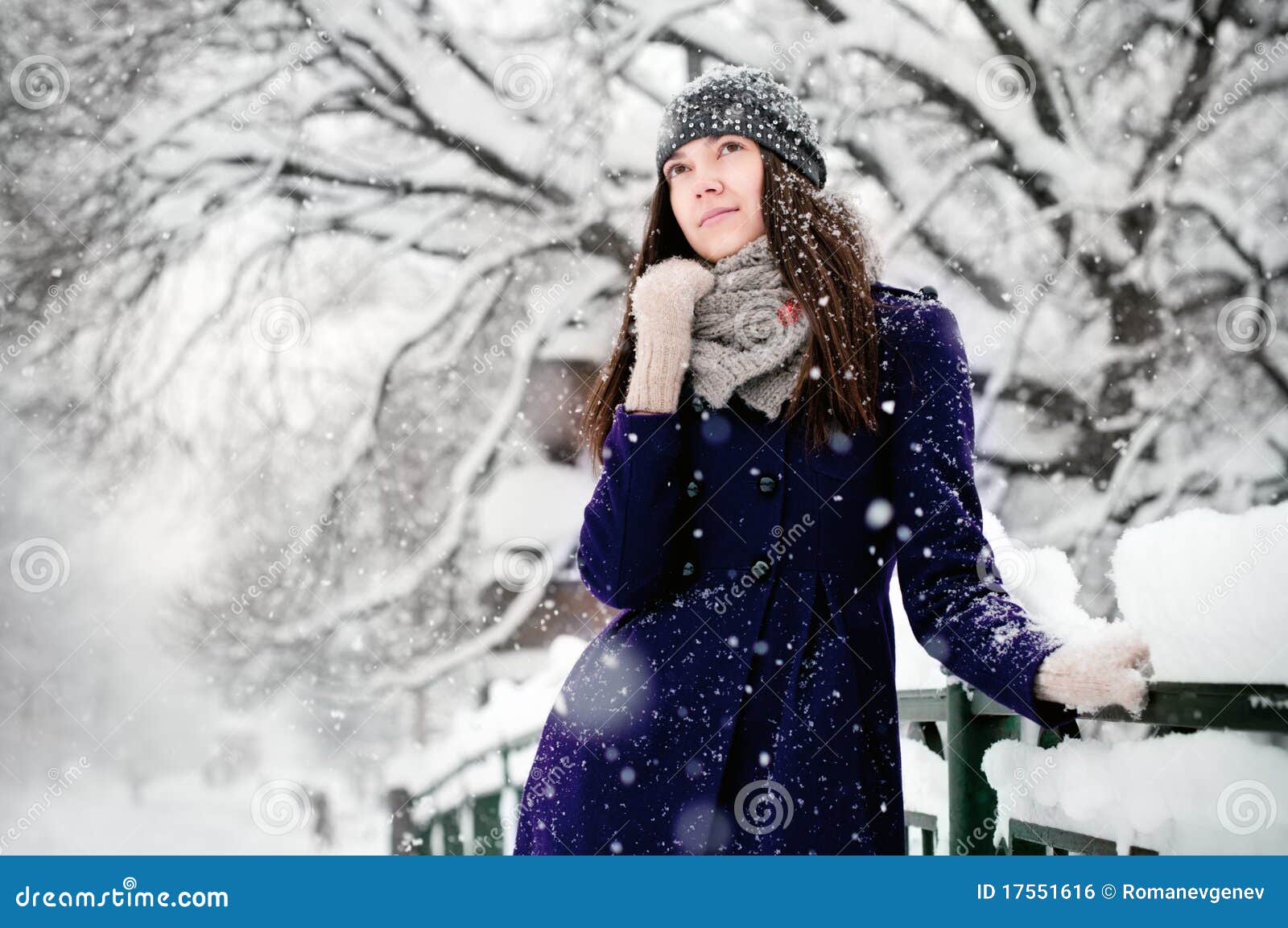 Día Nevado foto de archivo. Imagen de casquillo, nieve - 17551616